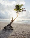 Your Guide to Tulum Mexico — Viktoria Wanders