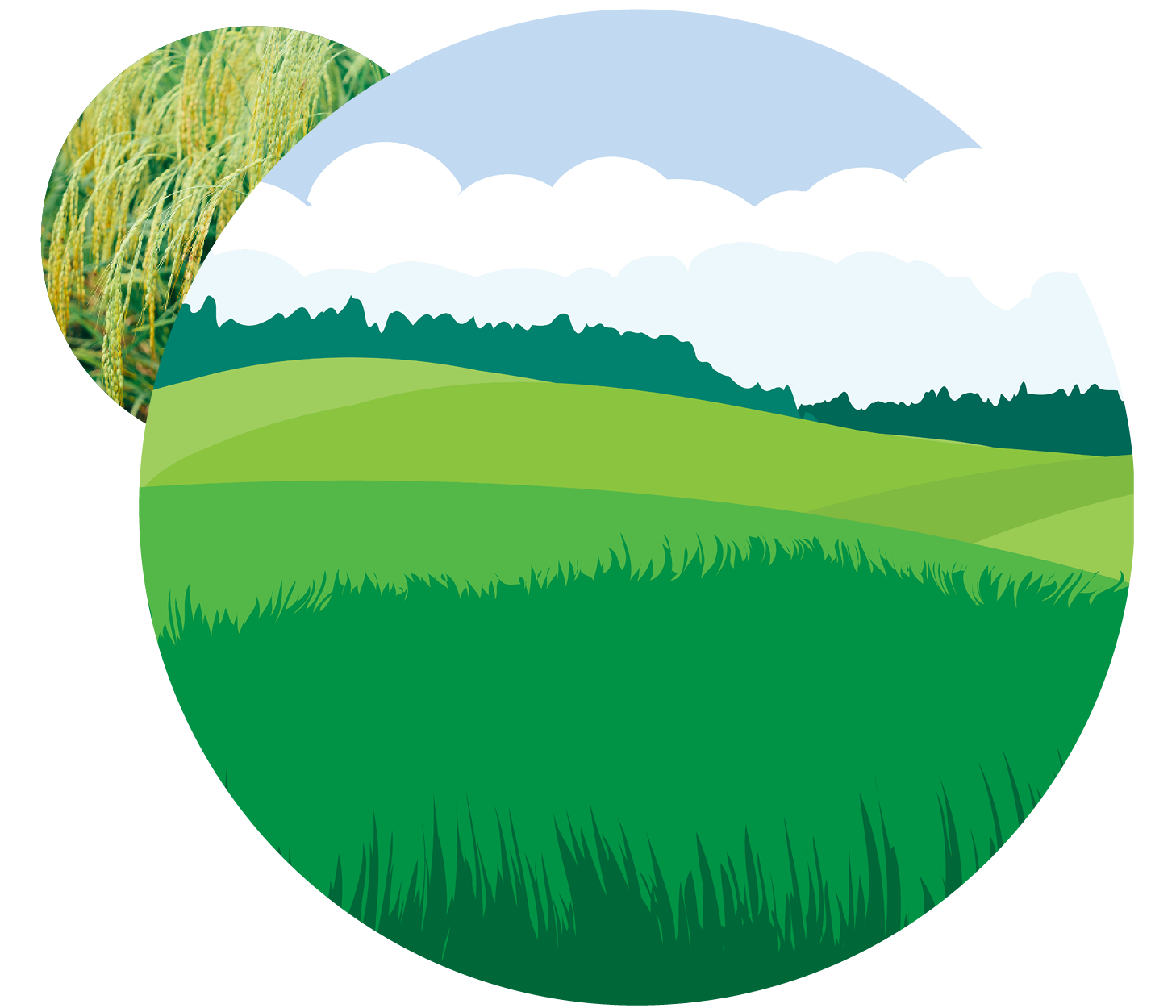 Our People — New Zealand Rural Land Co.