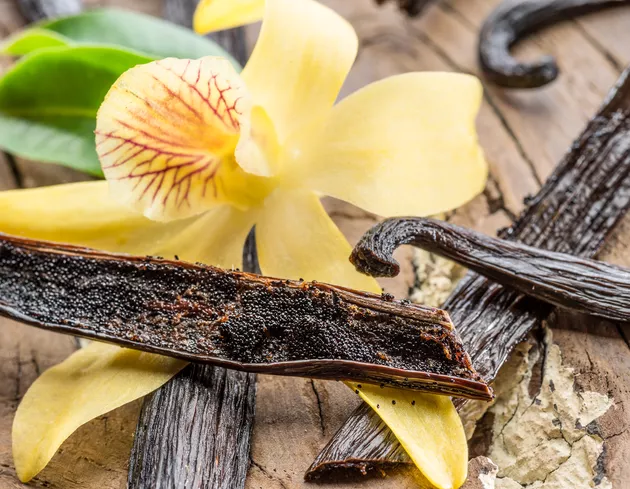 Vanilla: Chocolate’s Best Friend or Worst Enemy? - The Chocolate Journalist