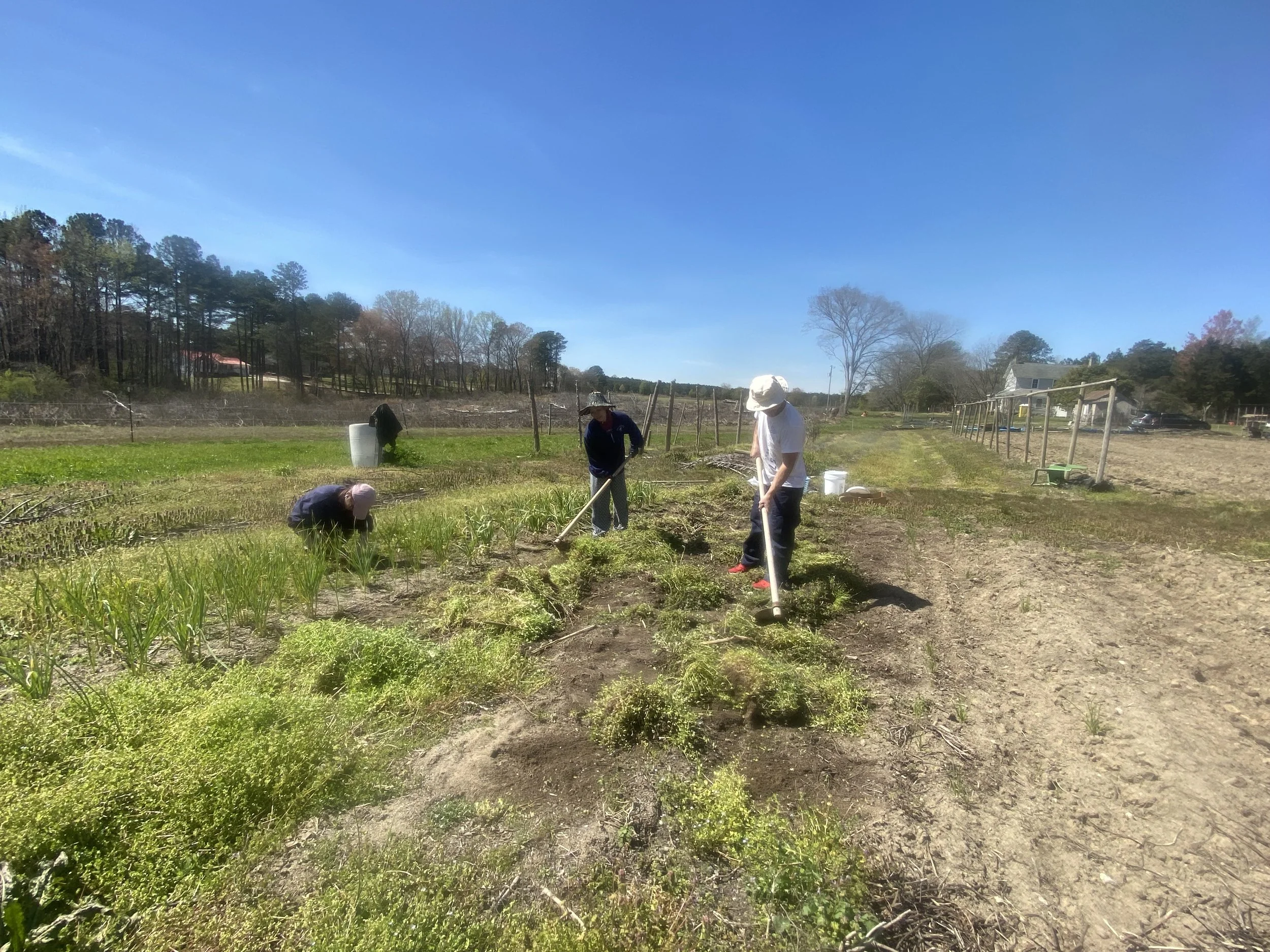 Our Story — Karen Community Farm at Oaky Grove