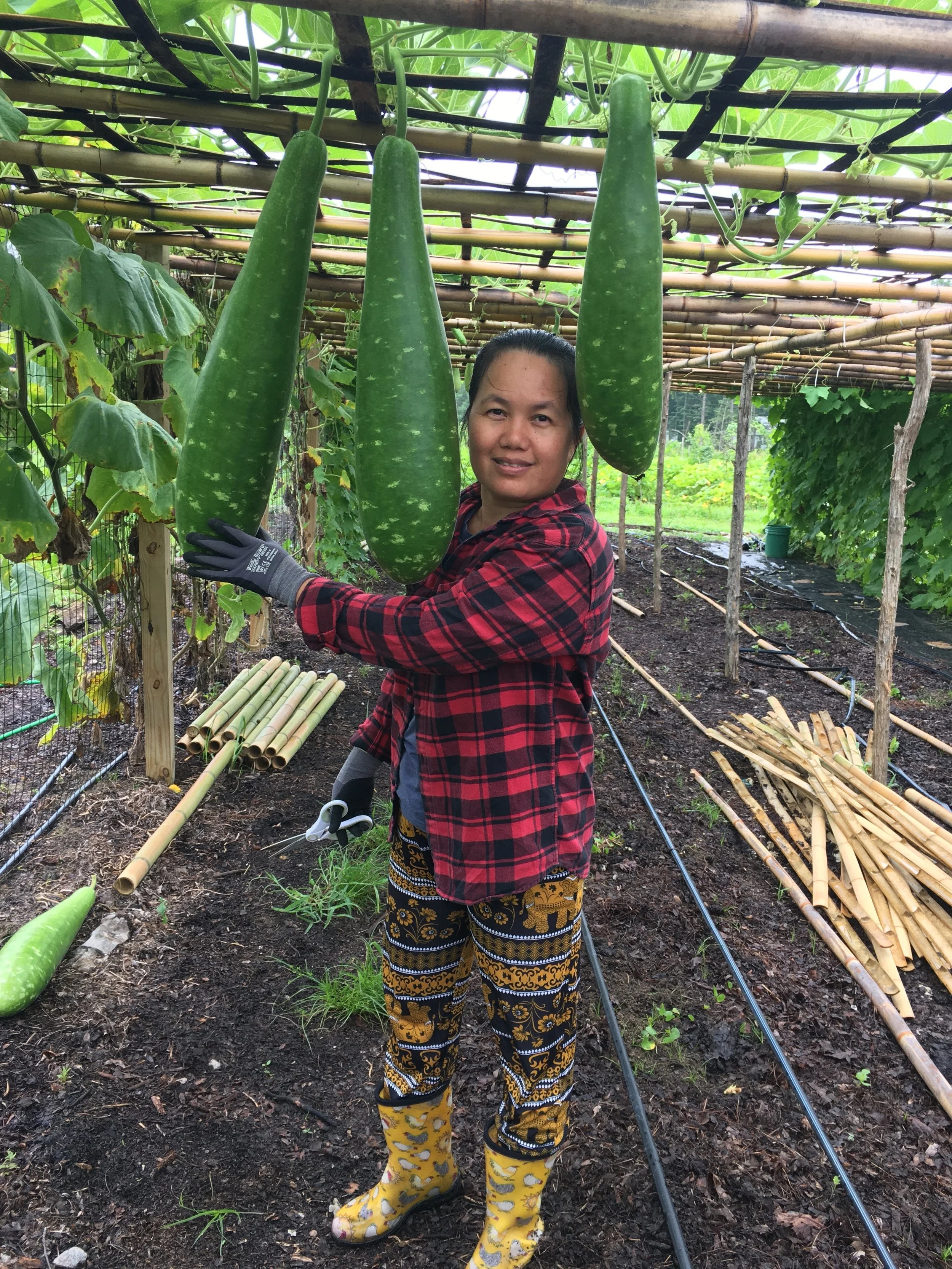 Htoo Saw and Kee Lar's Produce — Karen Community Farm at Oaky Grove