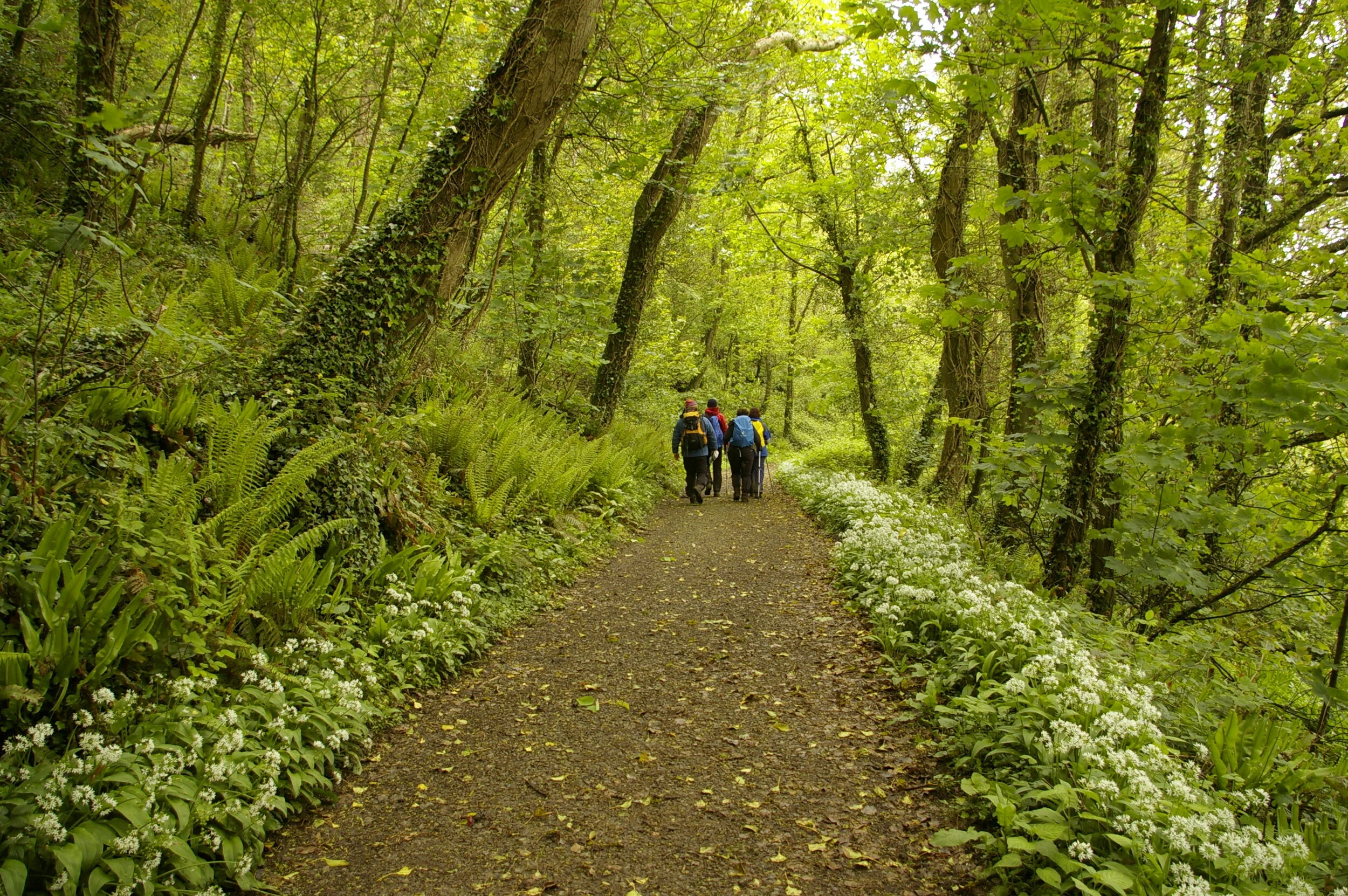 Gower Coast Walking Weekend Adventure | Large Outdoors