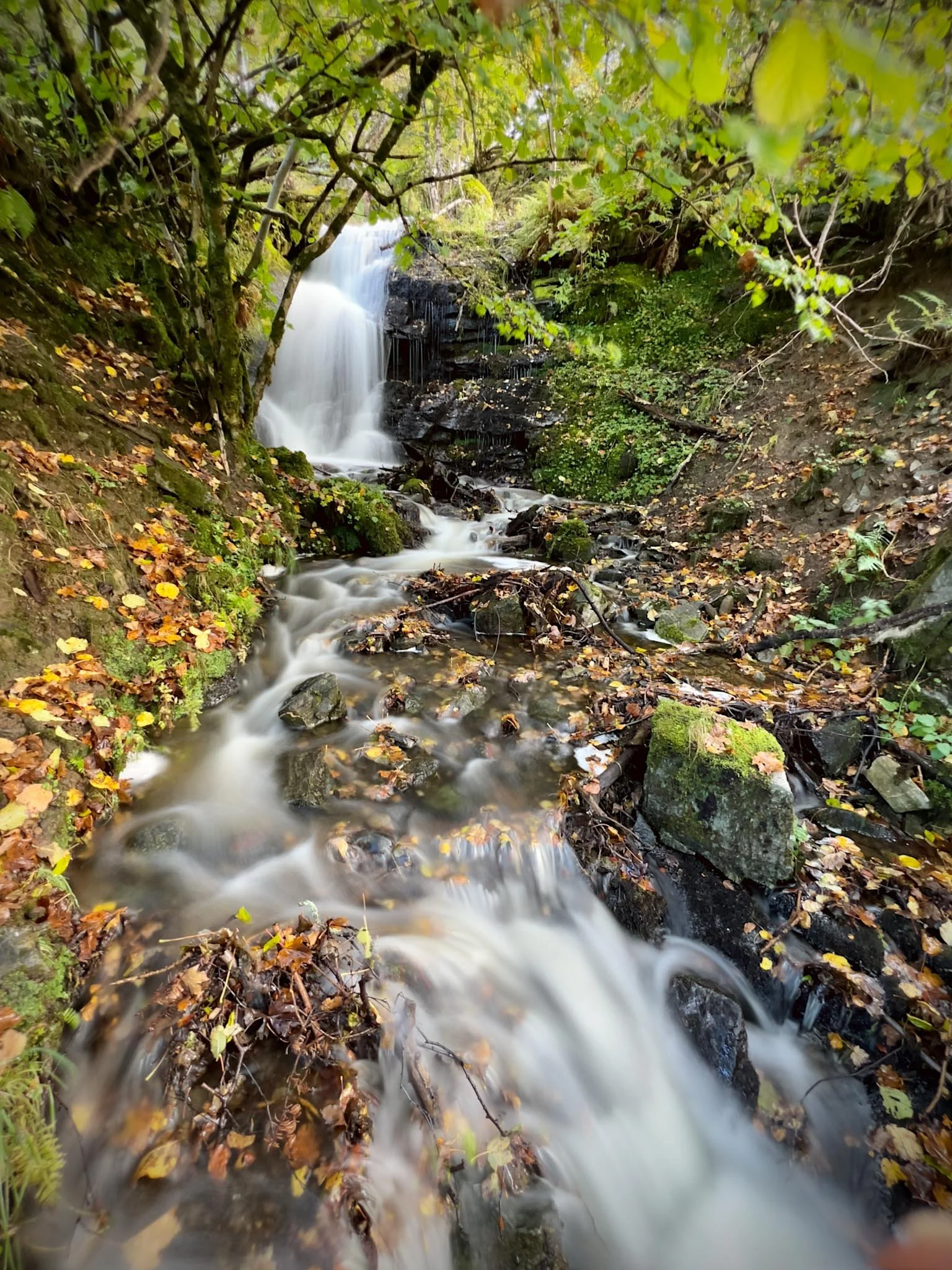 Walking Scotland’s Autumn Forests: A Four-Night Break in Pitlochry