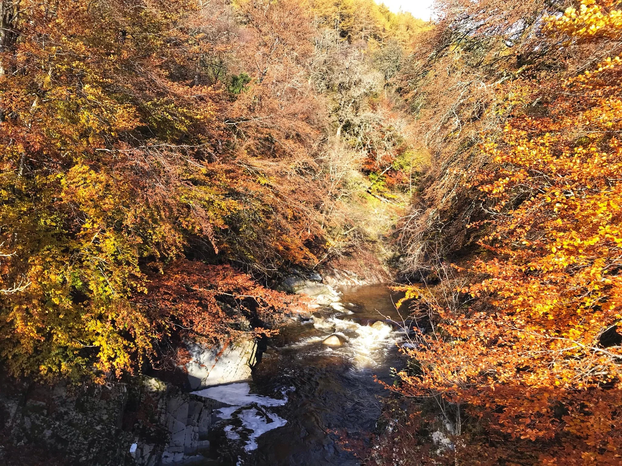 Walking Scotland’s Autumn Forests: A Four-Night Break in Pitlochry