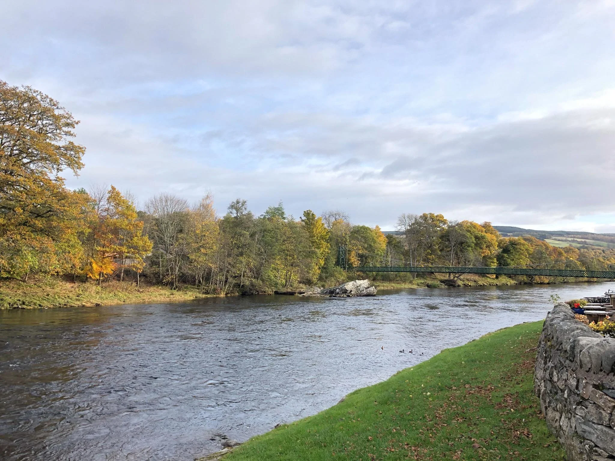 Gallery - The Wonders of Autumn in Scotland’s Enchanted Forest 2018
