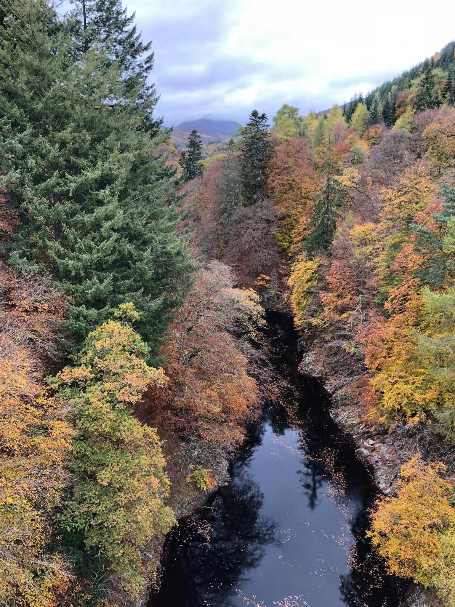 Gallery - The Wonders of Autumn in Scotland’s Enchanted Forest 2018