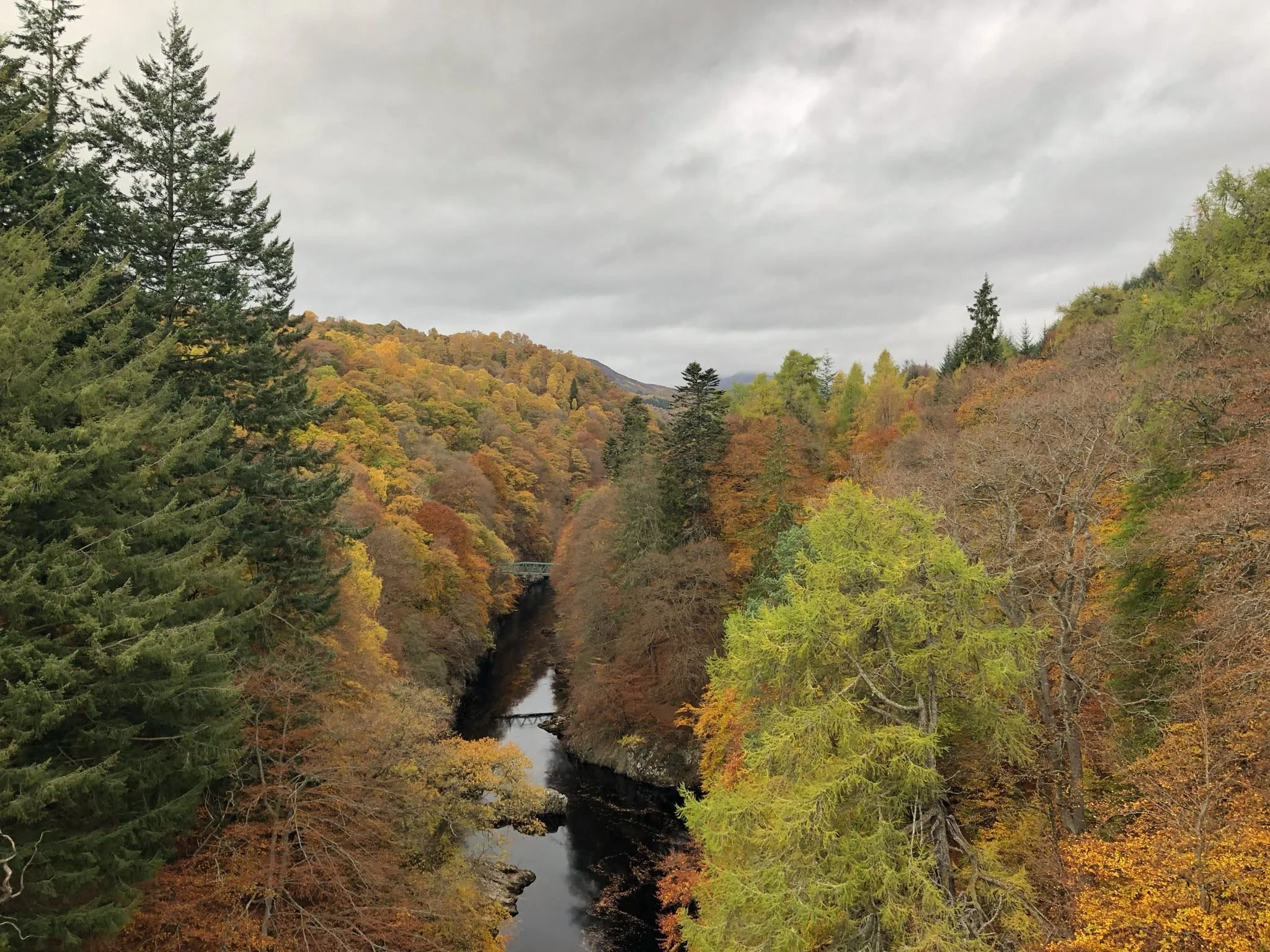Gallery - The Wonders of Autumn in Scotland’s Enchanted Forest 2018