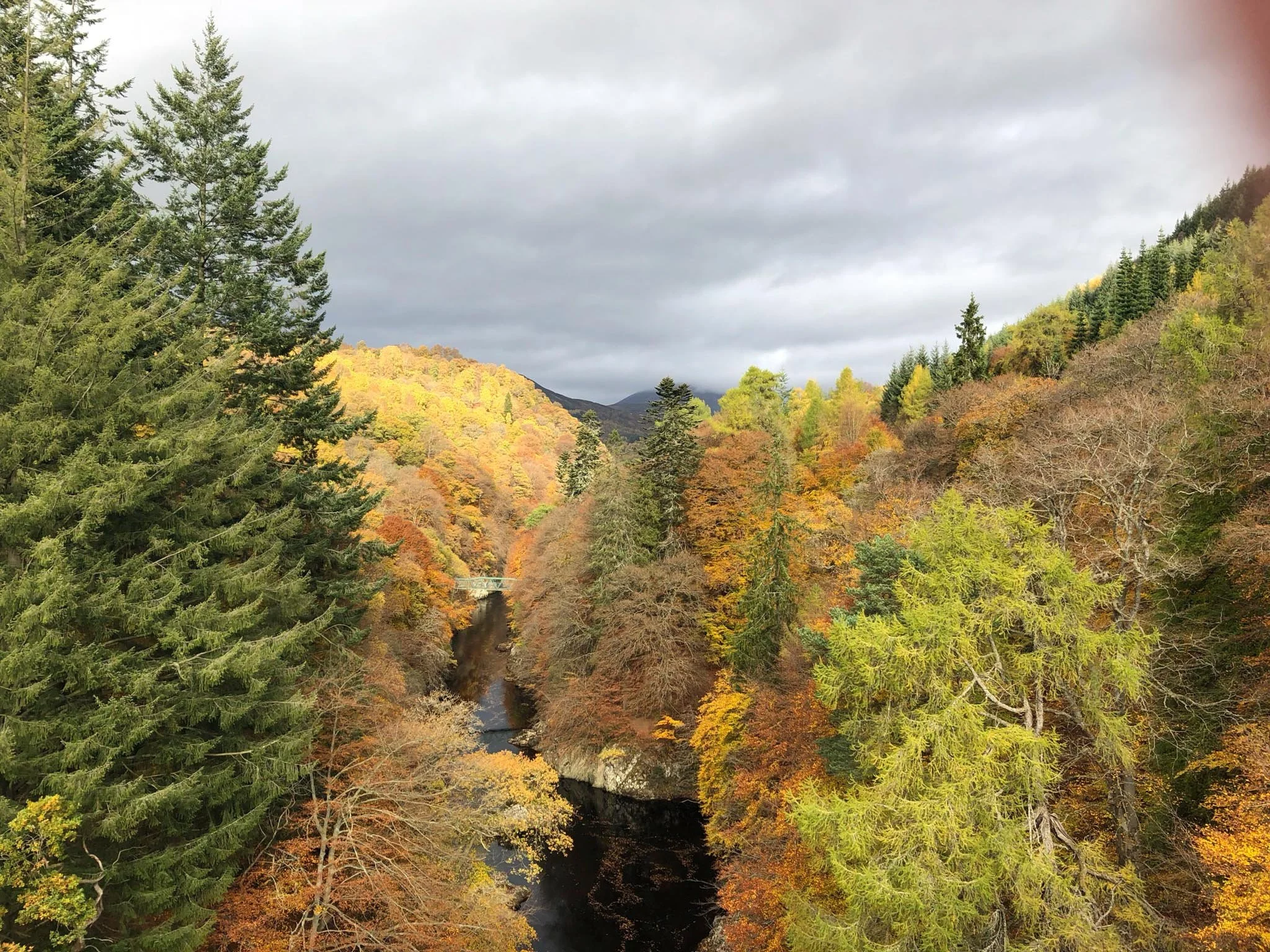 Gallery - The Wonders of Autumn in Scotland’s Enchanted Forest 2018
