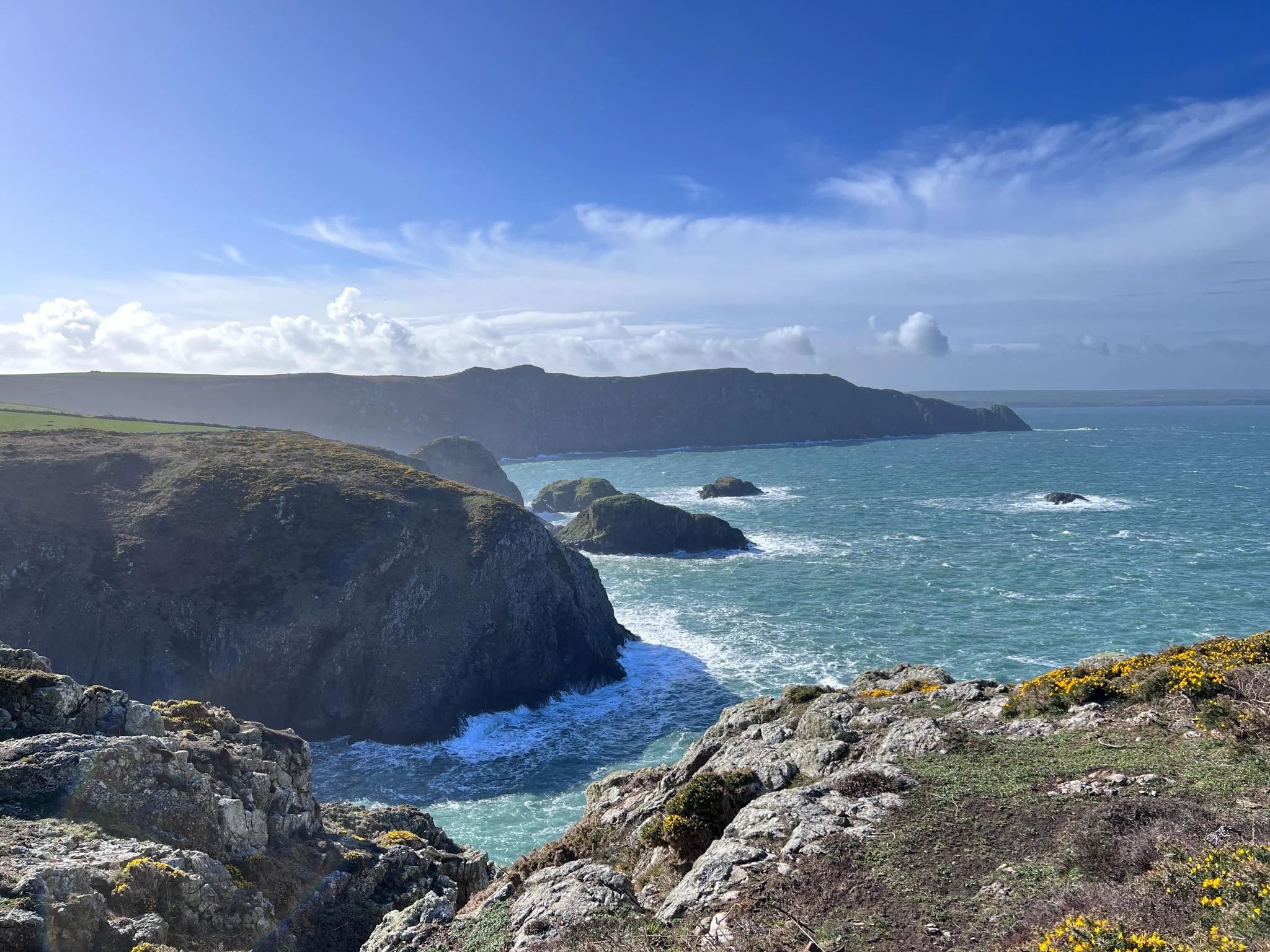 Pembrokeshire Walking Holiday – 7 Nights of Coastal Walks and Wildlife ...