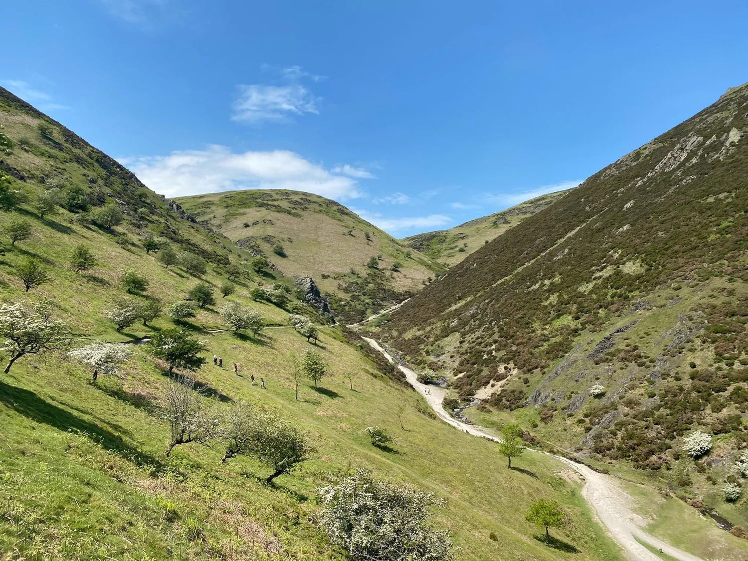 Long Mynd Guided & Social Walking Weekend in Shropshire