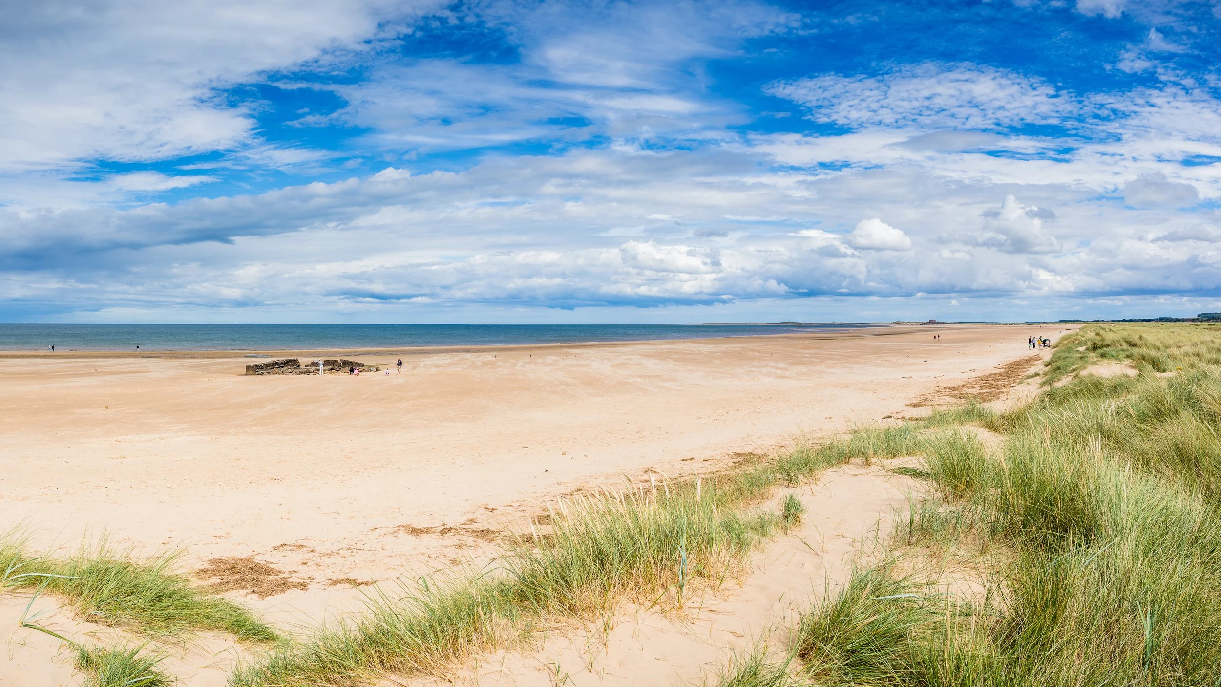 Norfolk Walking Weekend: North Coast and Sandringham