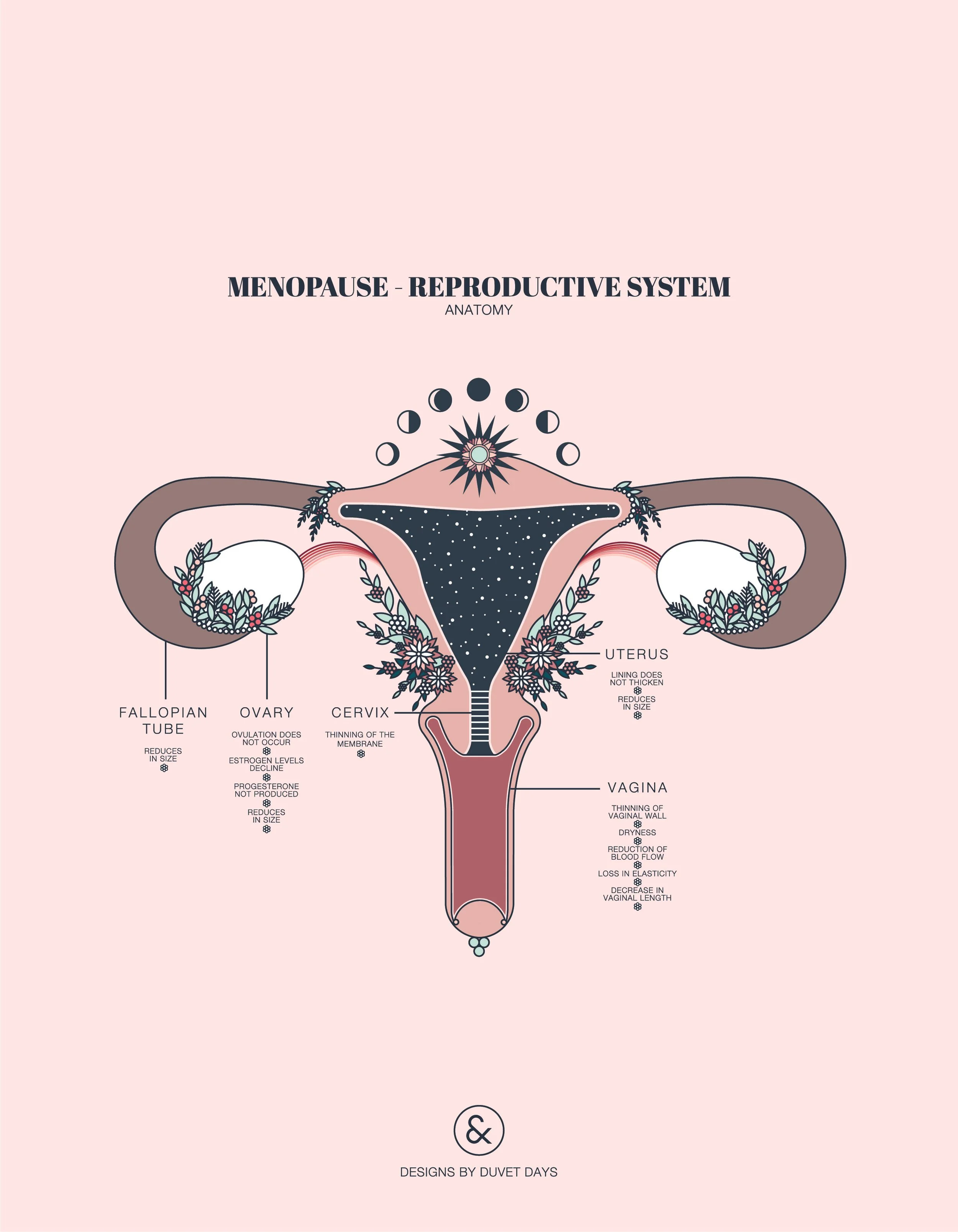 The WOMB Woodstock, Whole Family Care