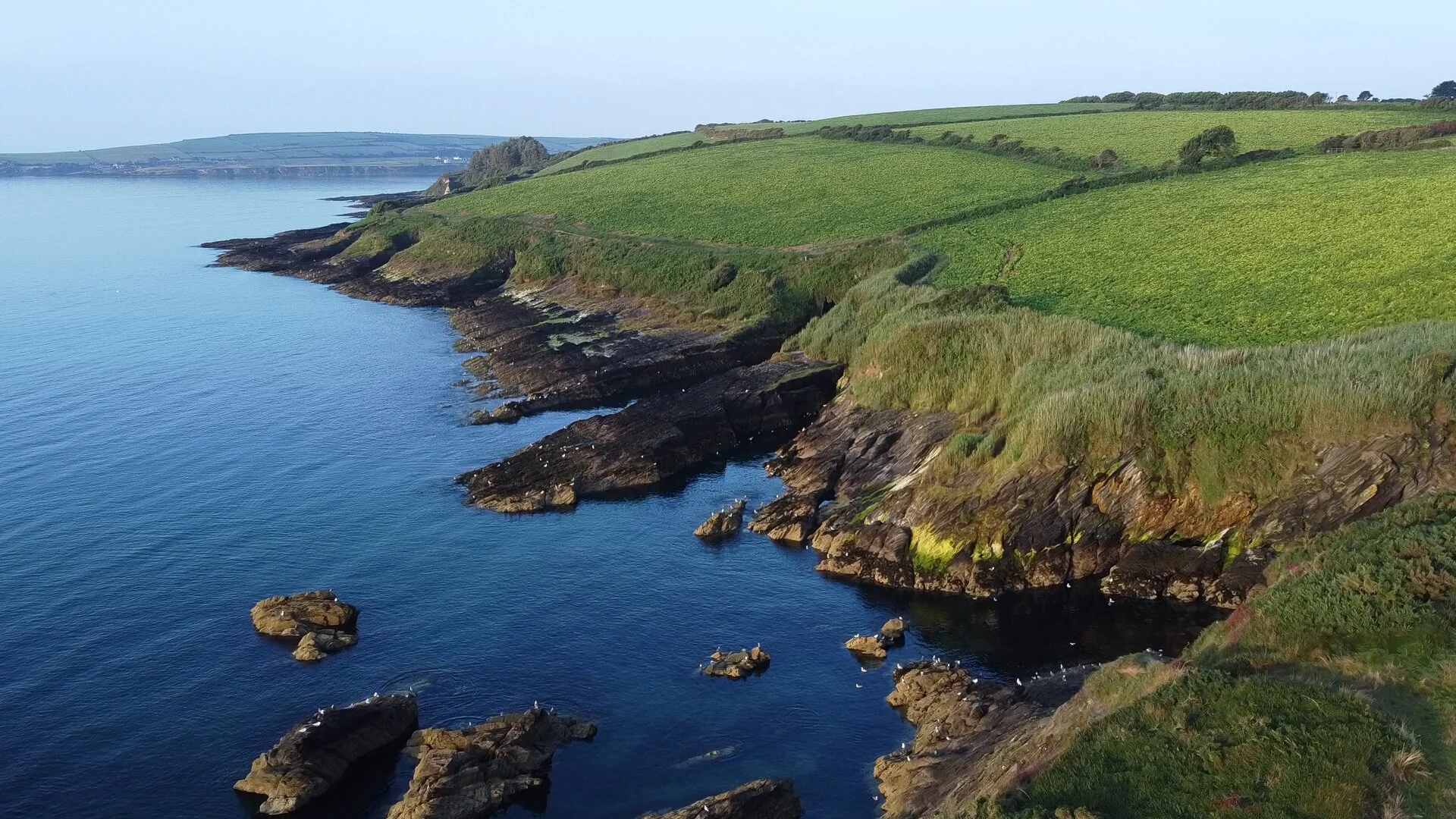 Courtmacsherry to Woodpoint walk | West Cork Discovered