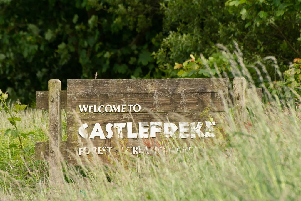 Castlefreke Forest | West Cork Discovered