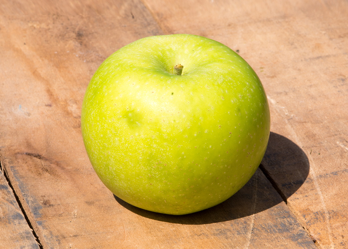 Grimes Golden Apple — Three Springs Fruit Farm