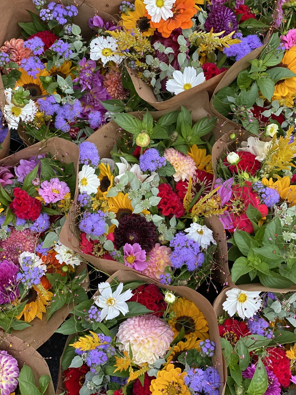 Bouquet Of Summer Flowers