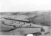 Roses on the Hillside: The Camp of Sand Coulee — The History Museum
