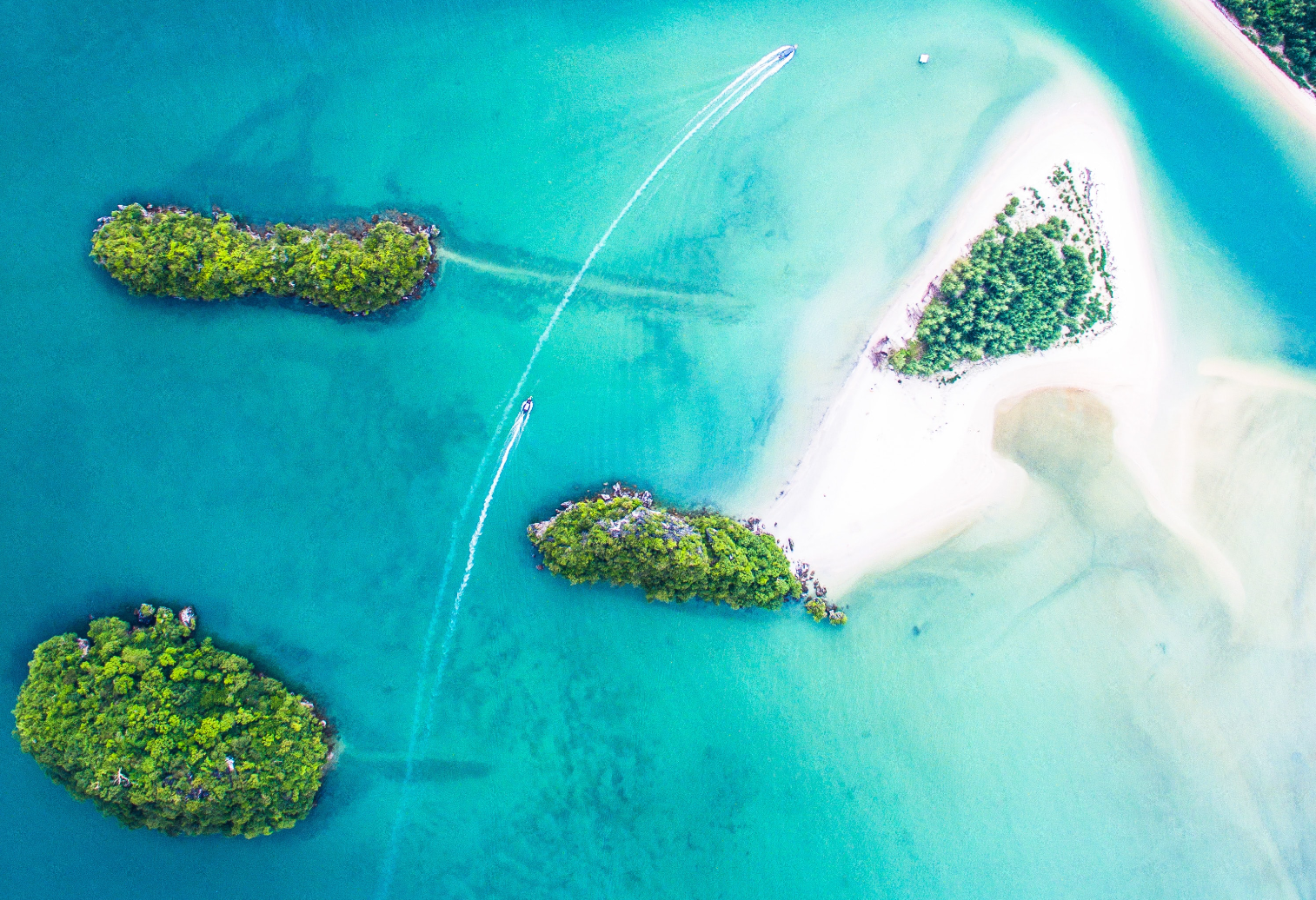 The Dynamic Island Island — Basic Apple Guy