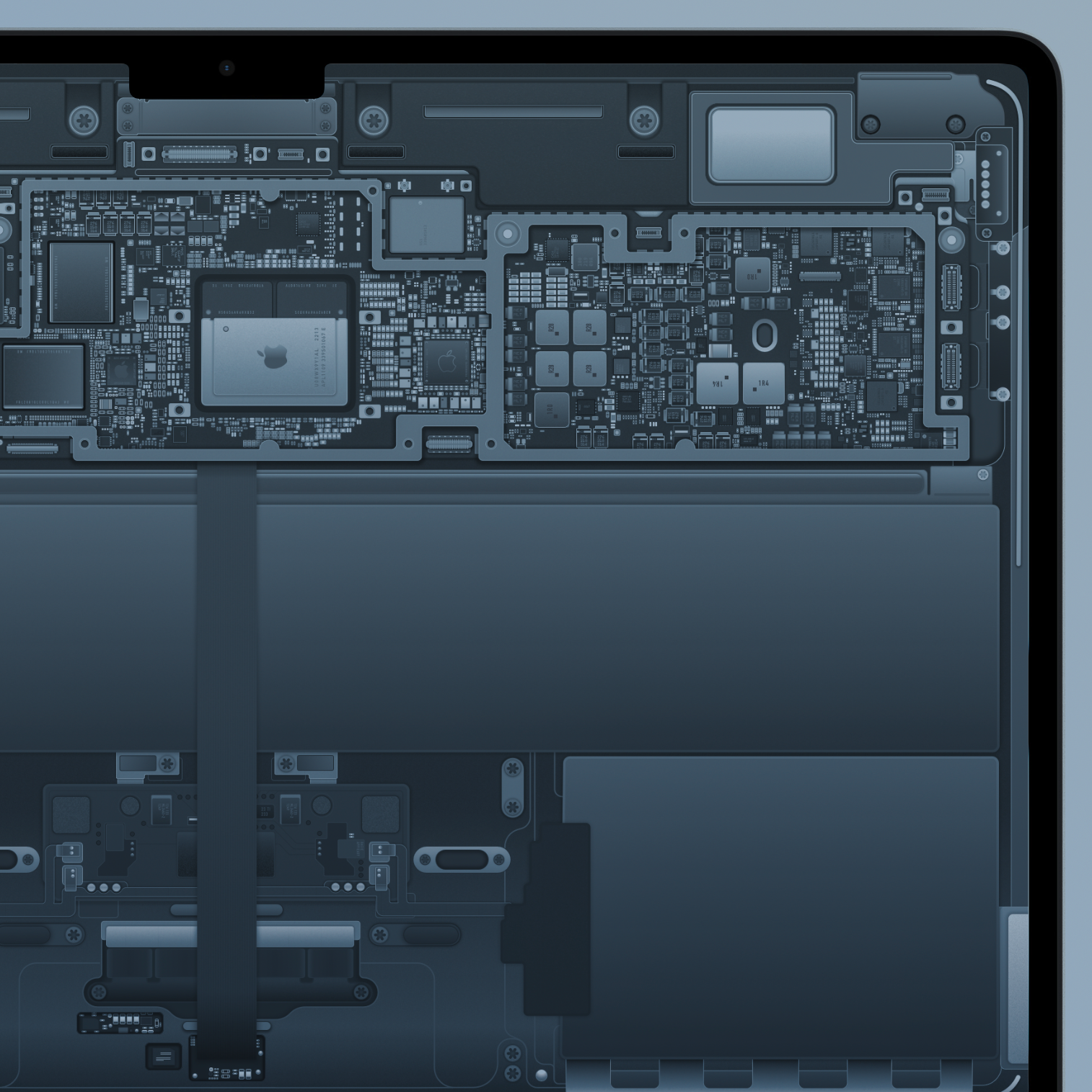 2025 Archive | Explore Archived Insights — Basic Apple Guy