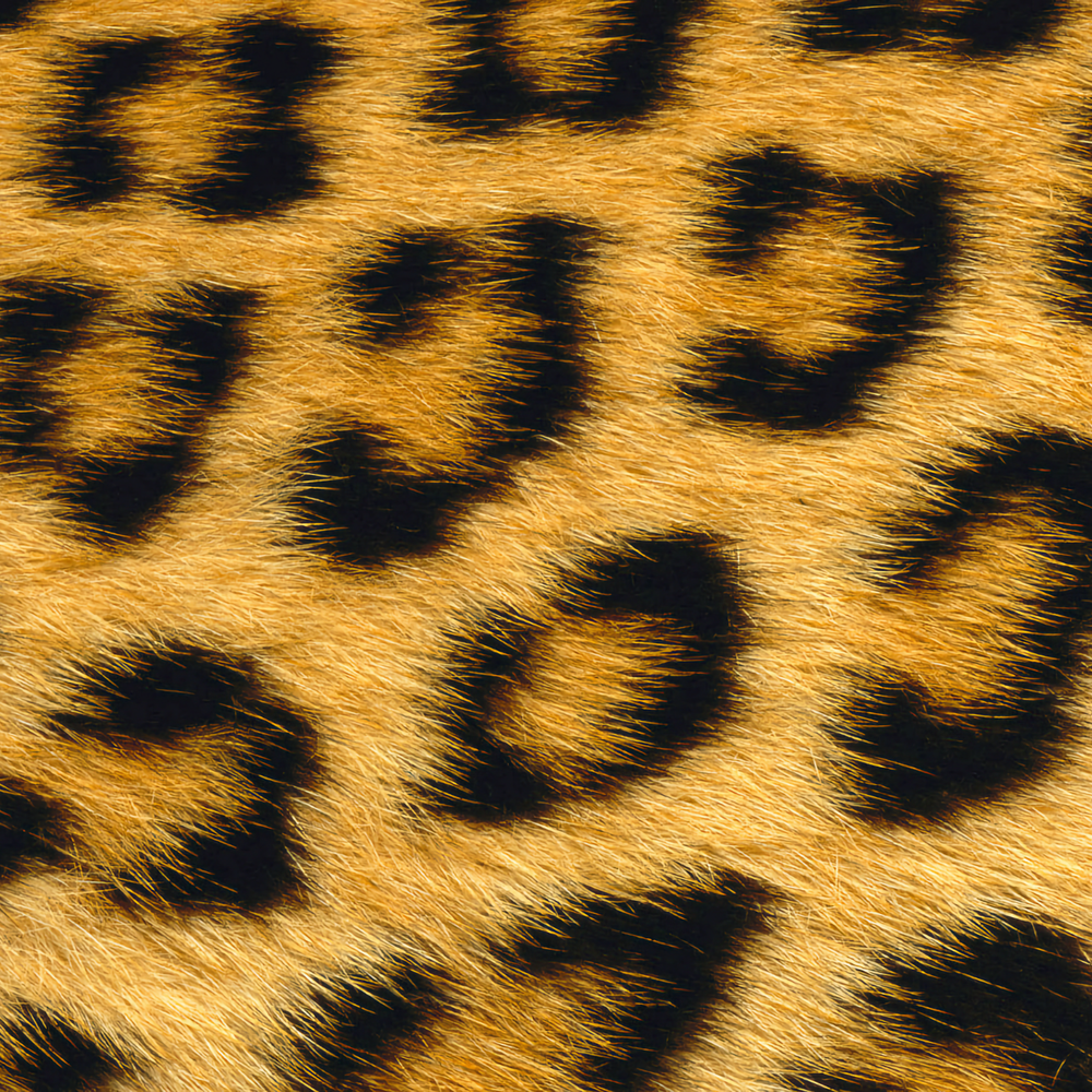Faux Fur — Basic Apple Guy