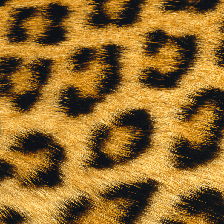 Faux Fur — Basic Apple Guy