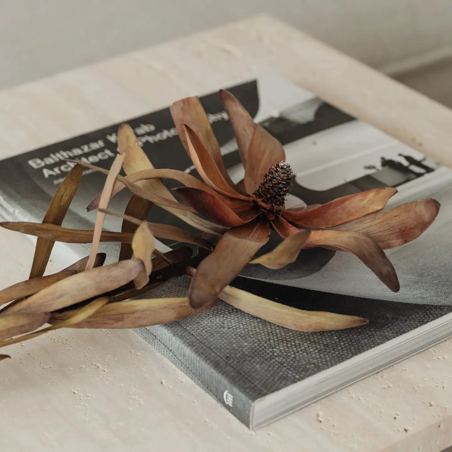 Fore Folk | Strategy Led Branding