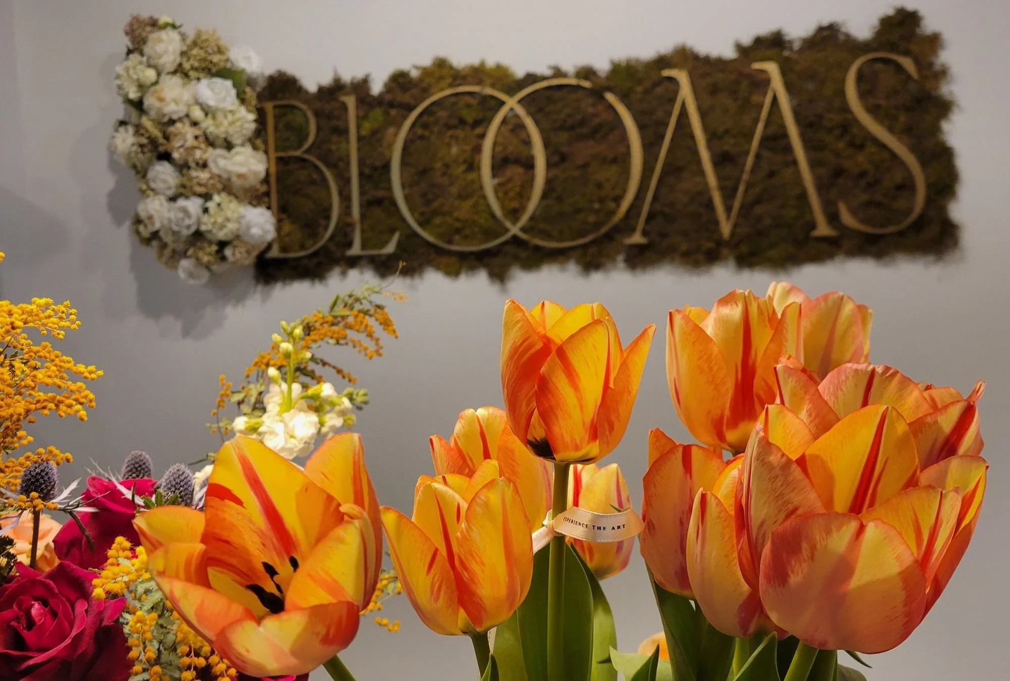 BLOOMS — Fore Folk