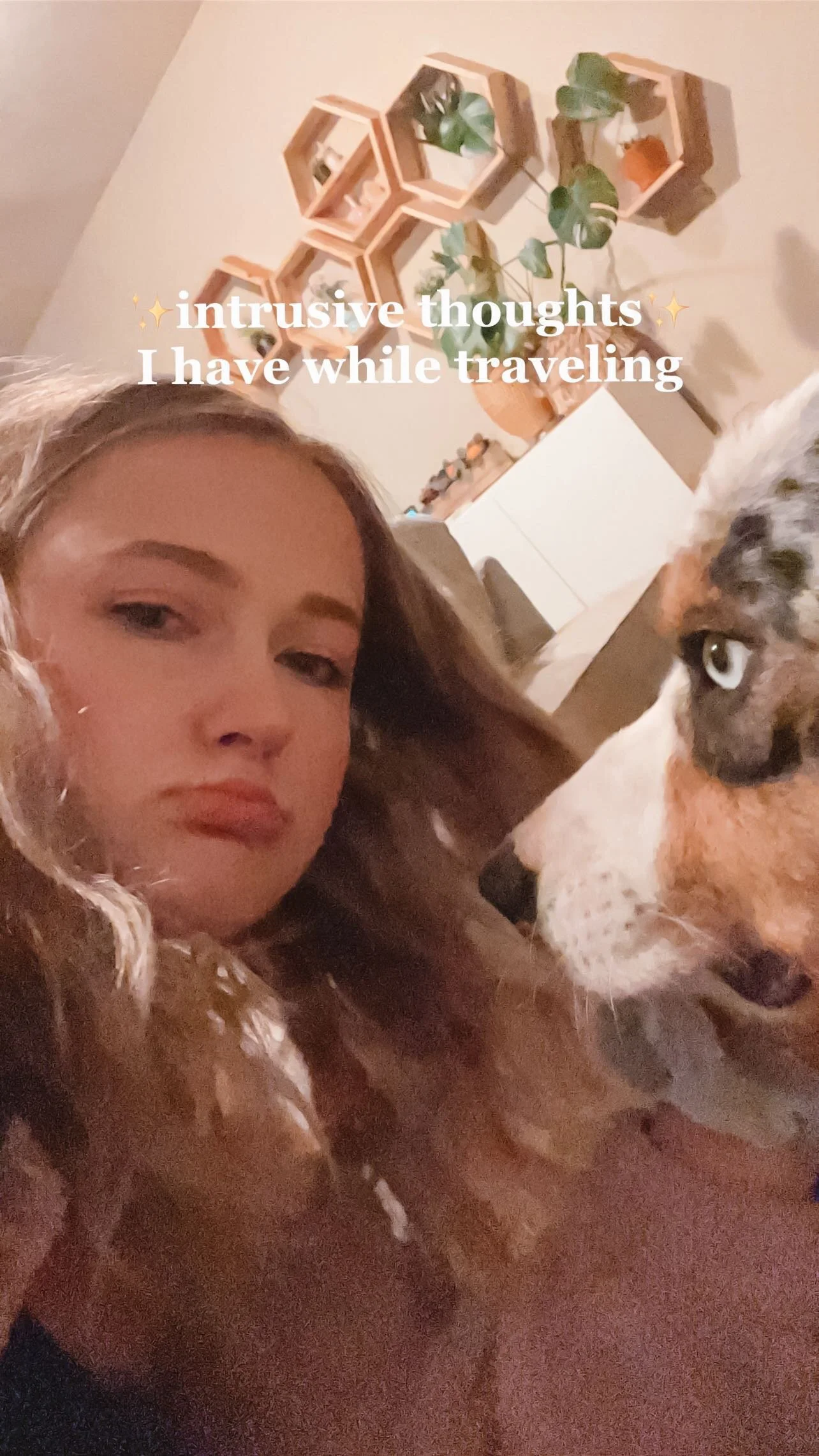 Pros and Cons of Owning an Australian Shepherd — So Fetch!