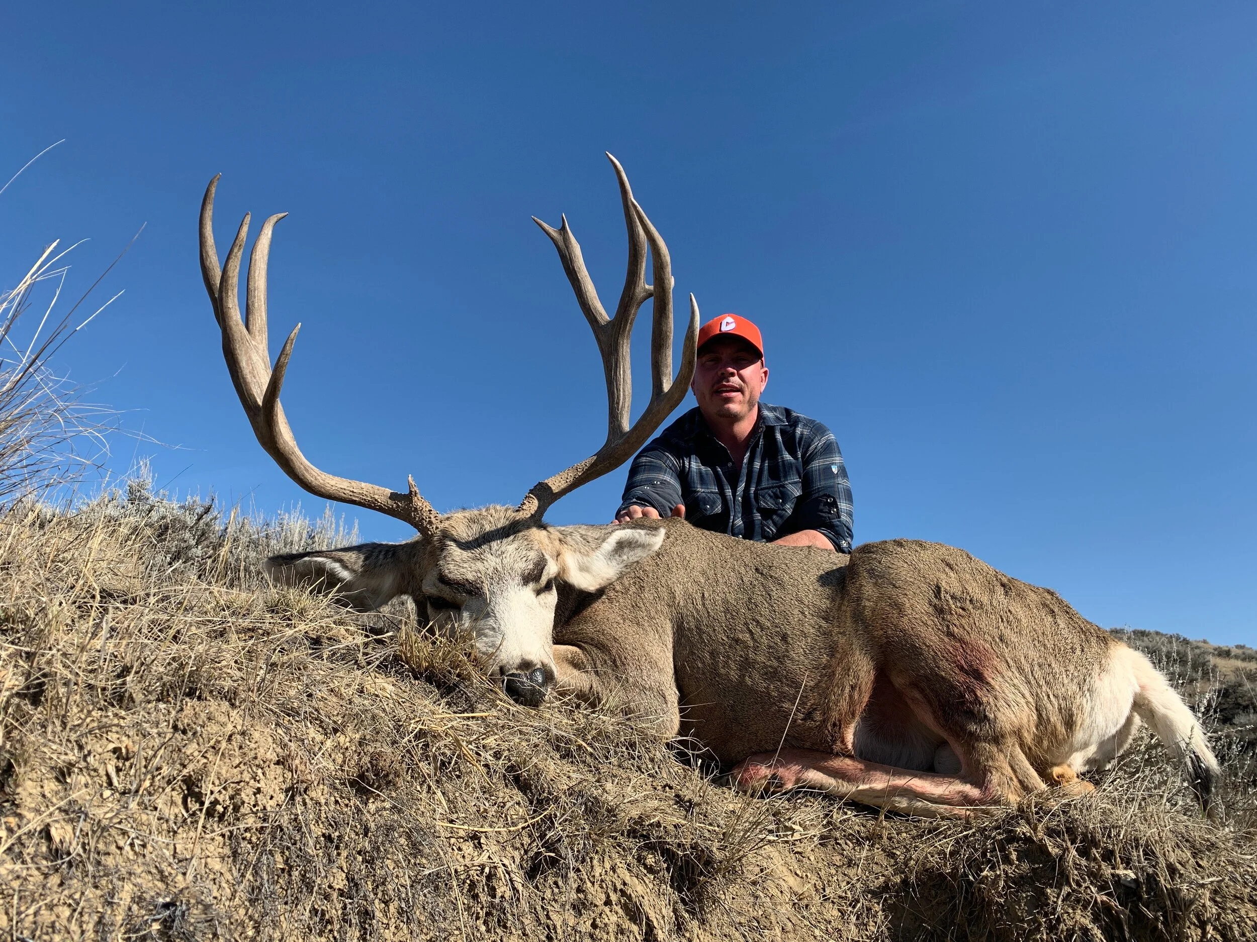 Daly Ranch Outfitters - Superior Hunting Land in Wyoming