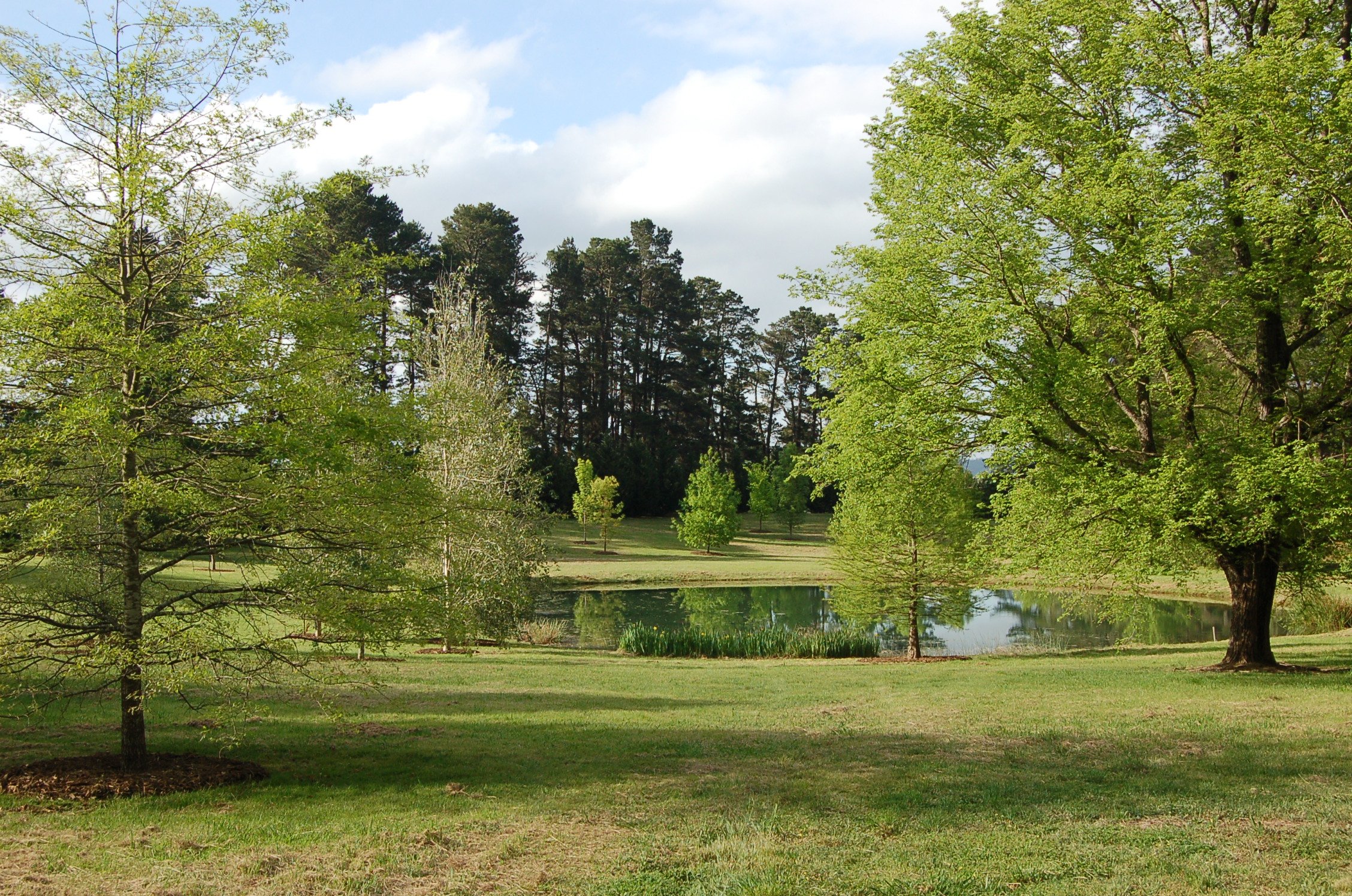 COUNTRY GARDENS — Michael Bligh & Associates