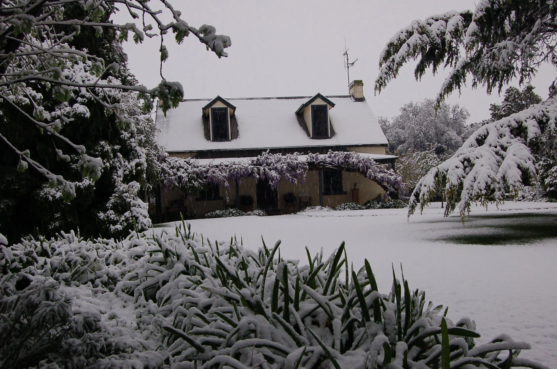 COUNTRY GARDENS — Michael Bligh & Associates