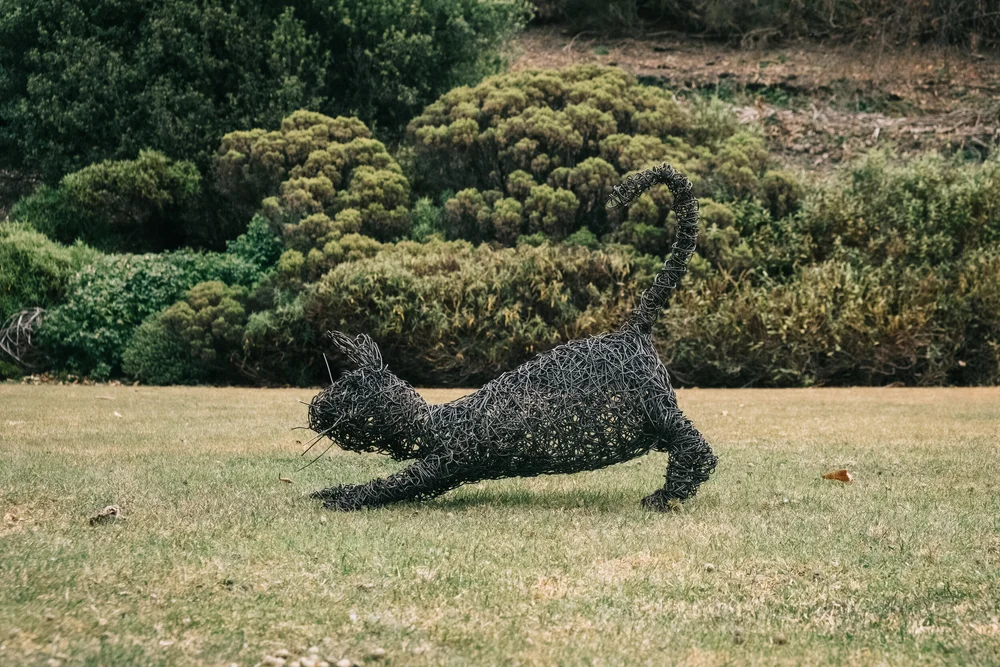 Lee van der Geest Art & Workshops