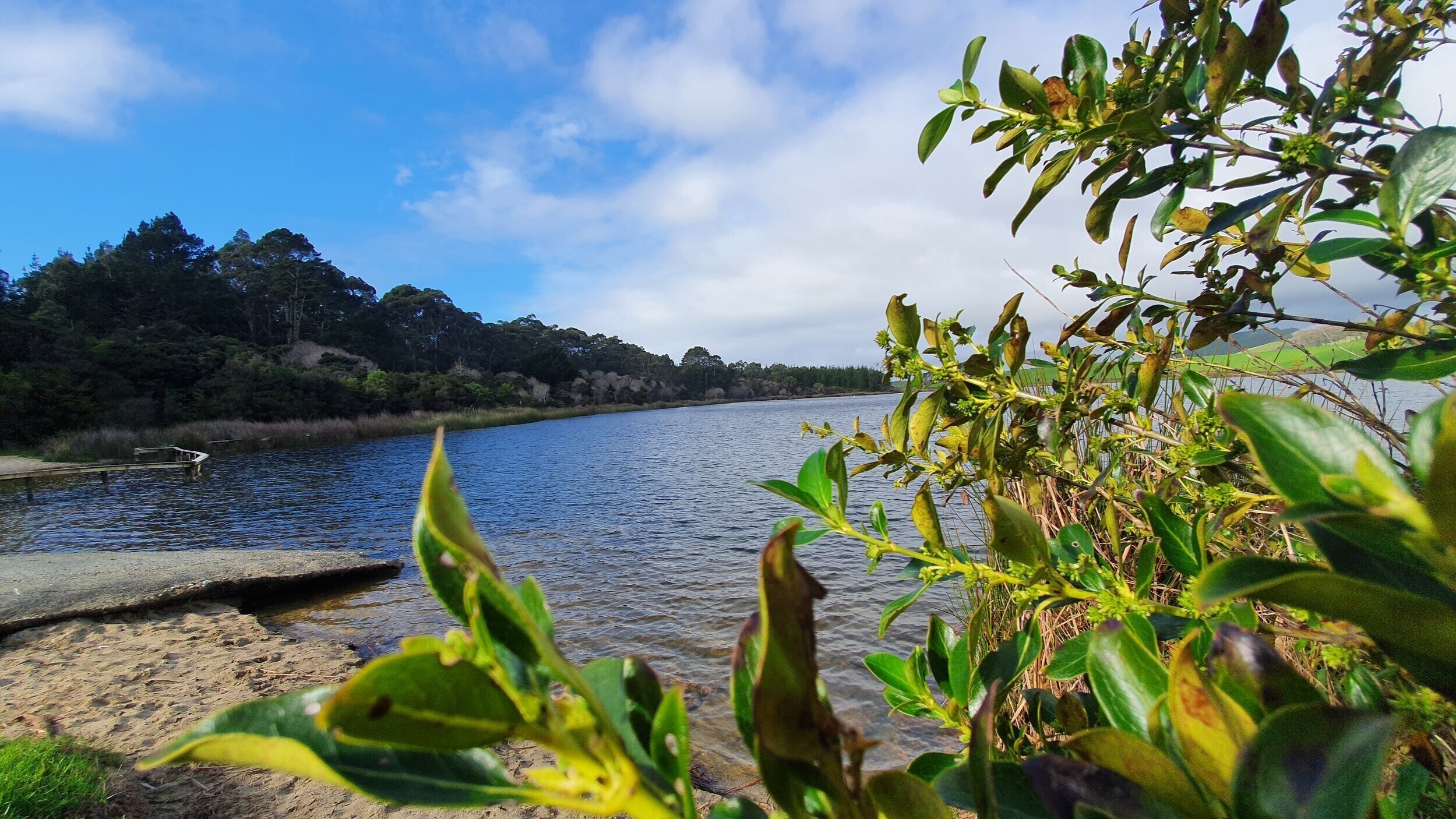 Lake Tomarata — Aotearoa Lakes