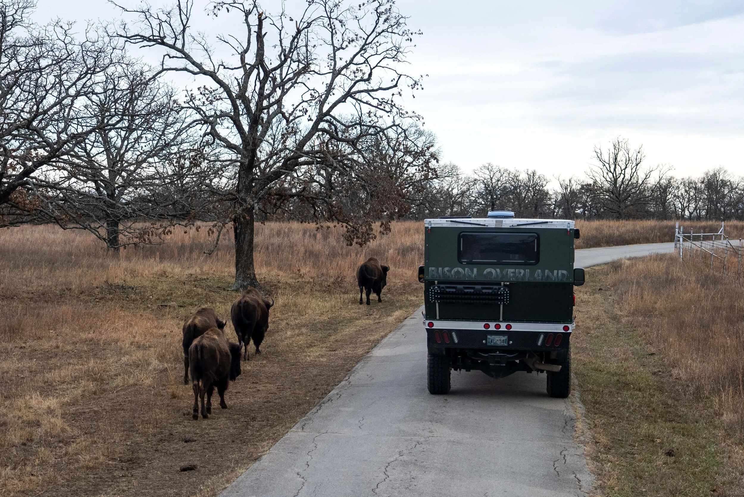Bison Overland Campers
