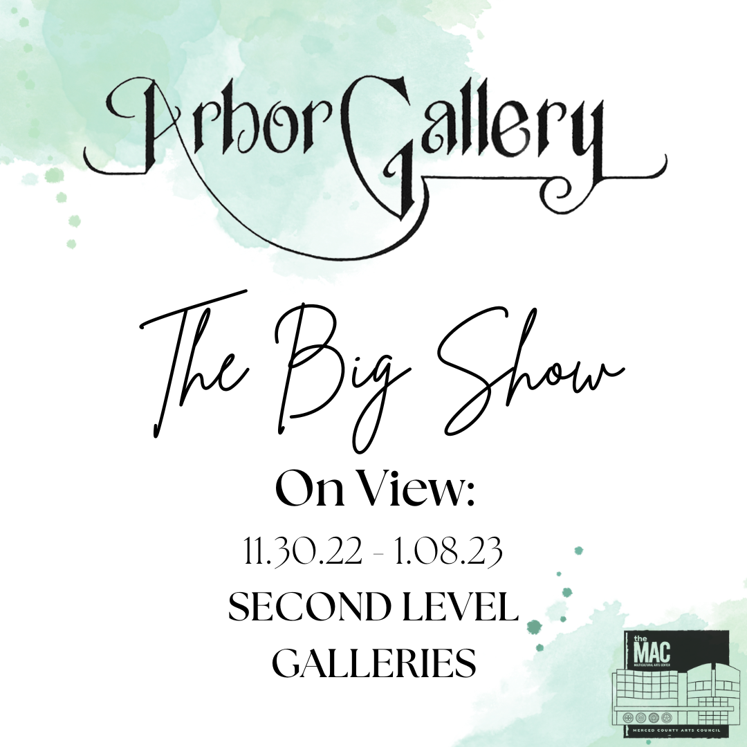 Arbor Gallery’s Big Show — The MAC