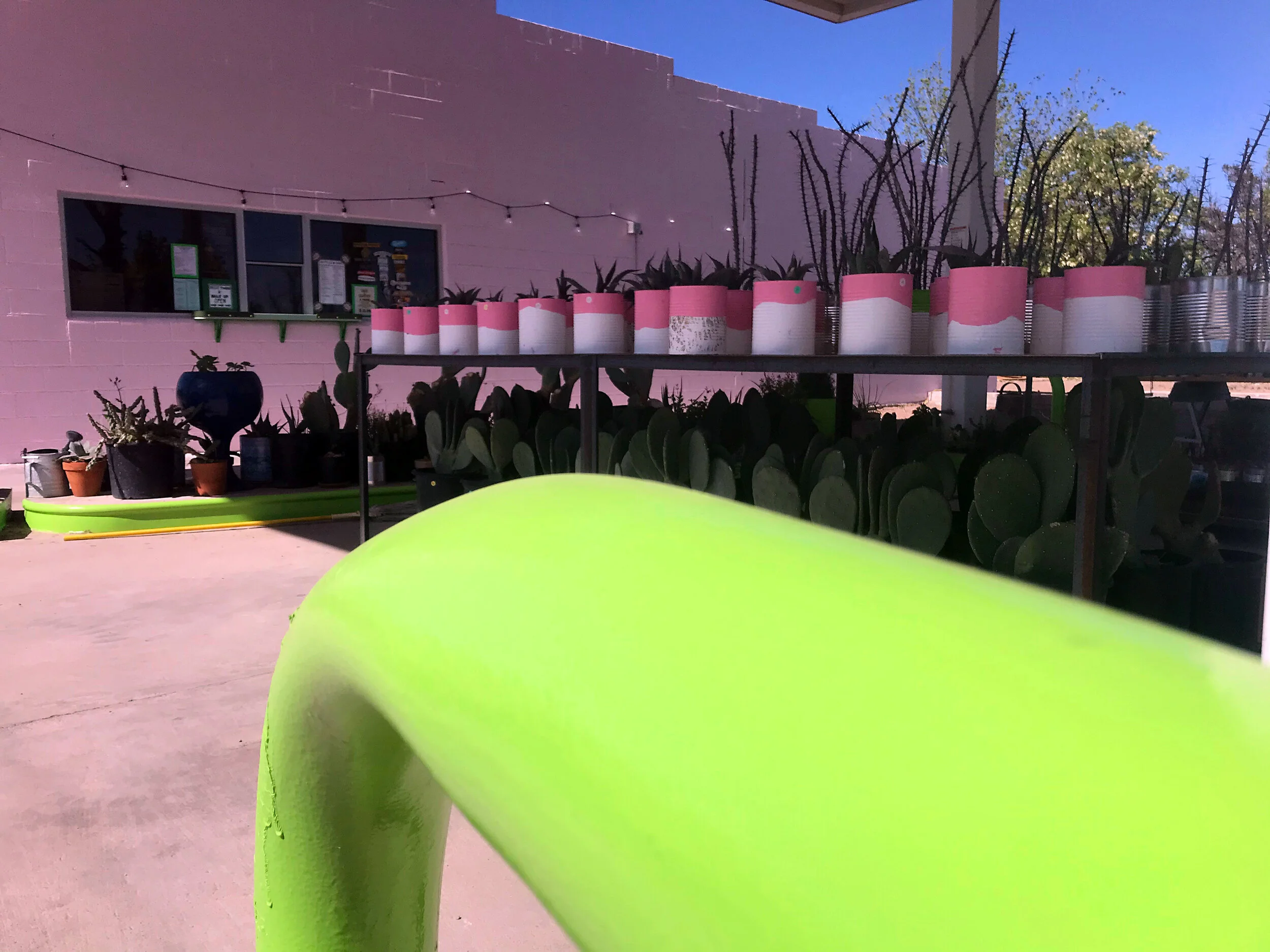 CACTUS LIQUORS