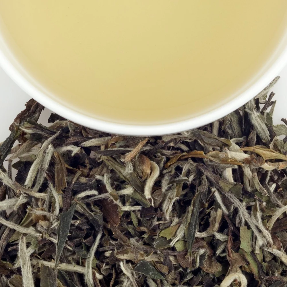 About Tea Concepts — Tea Concepts Hong Kong