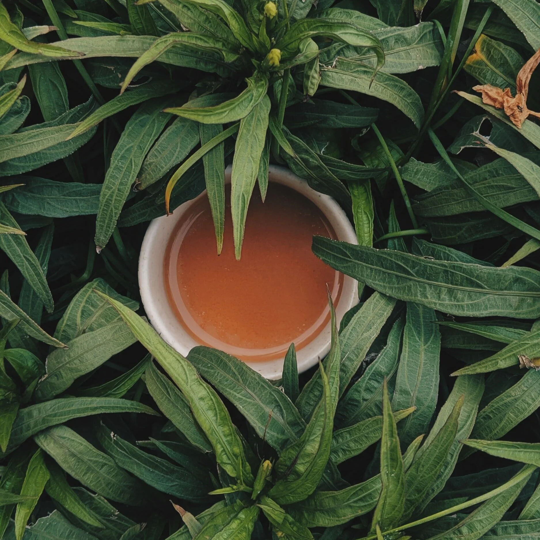 Online Tea Shop — Tea Concepts Hong Kong