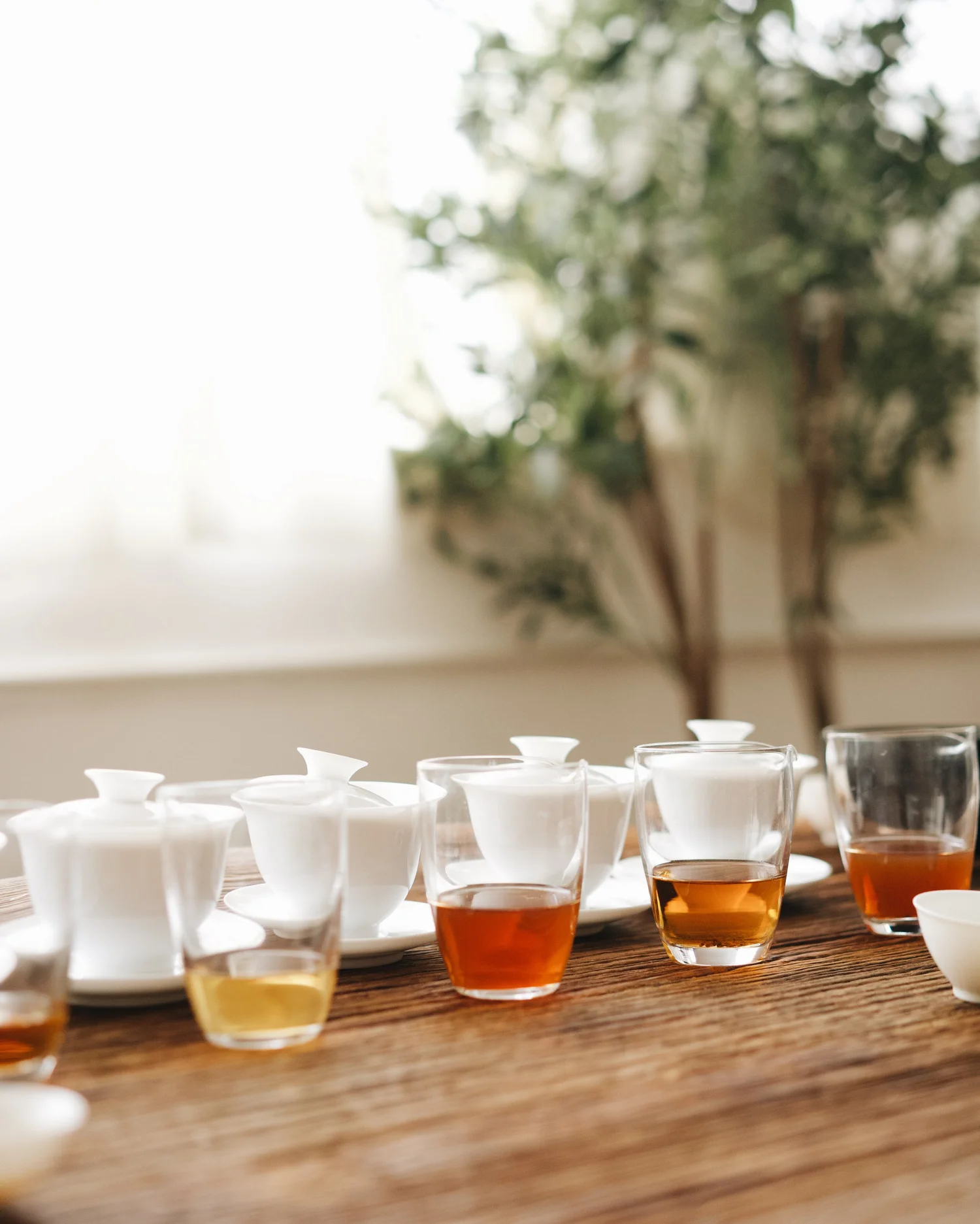 Tea Academy — Tea Concepts Hong Kong