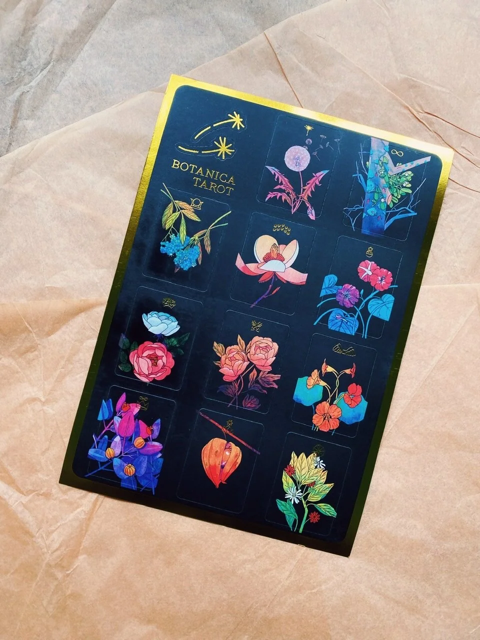 Field Foraging Sticker Sheet — Aviva Maï Artzy (The Washi Station)