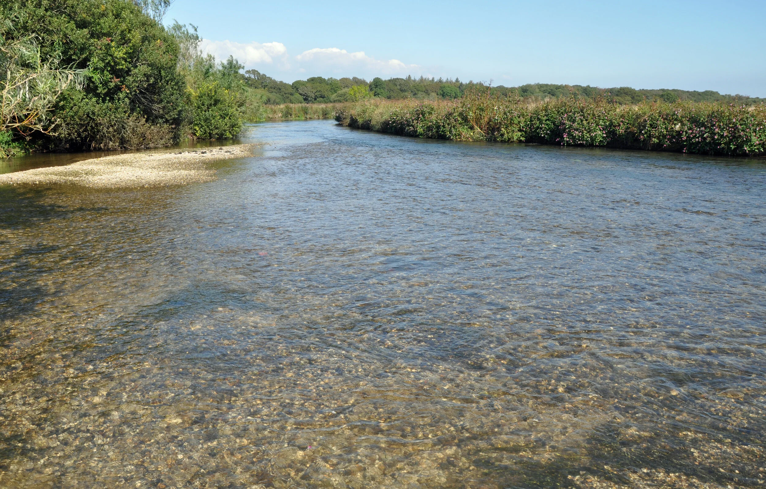 Game & Wildlife Conservation Trust Fisheries Research in Review — The ...