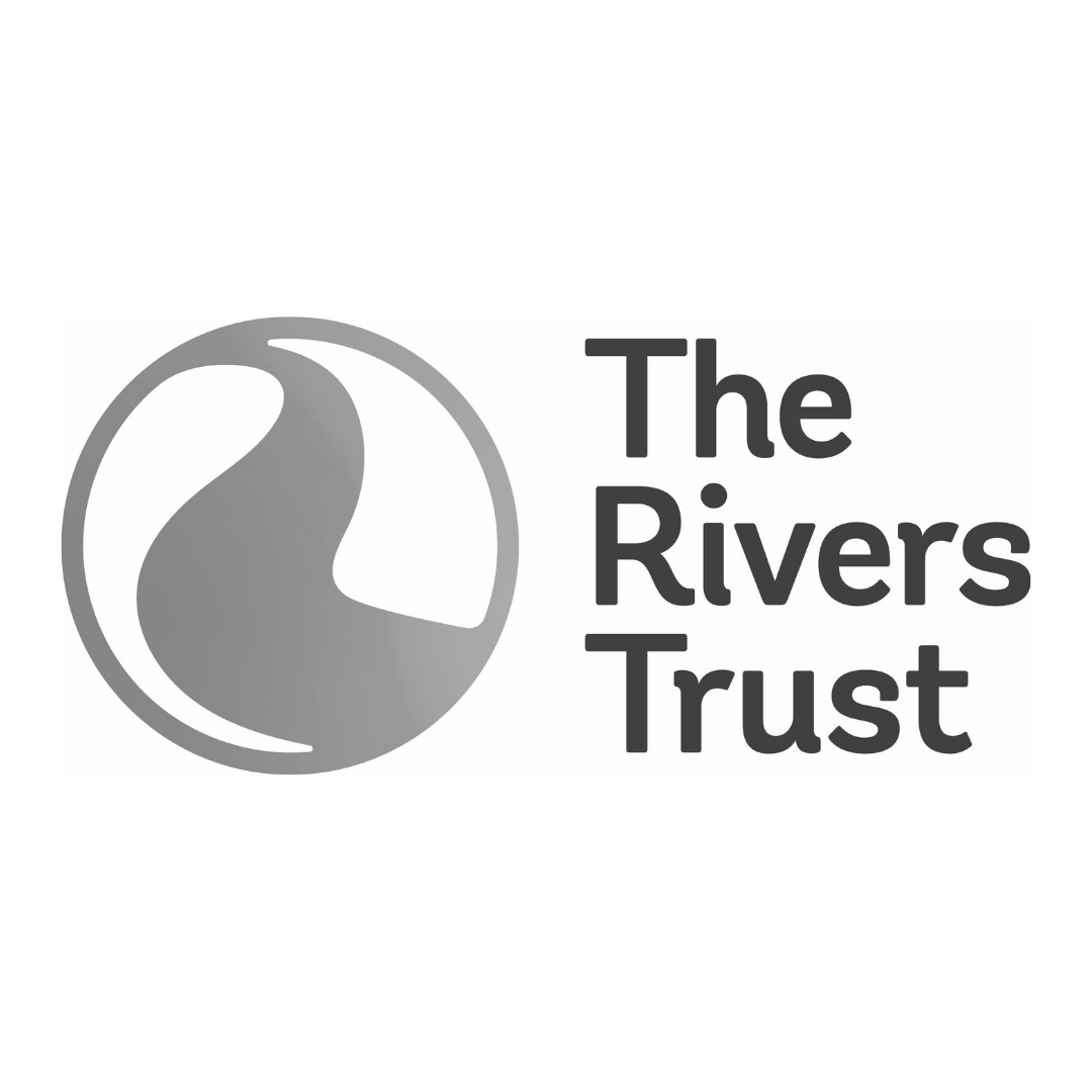 About — The Missing Salmon Alliance