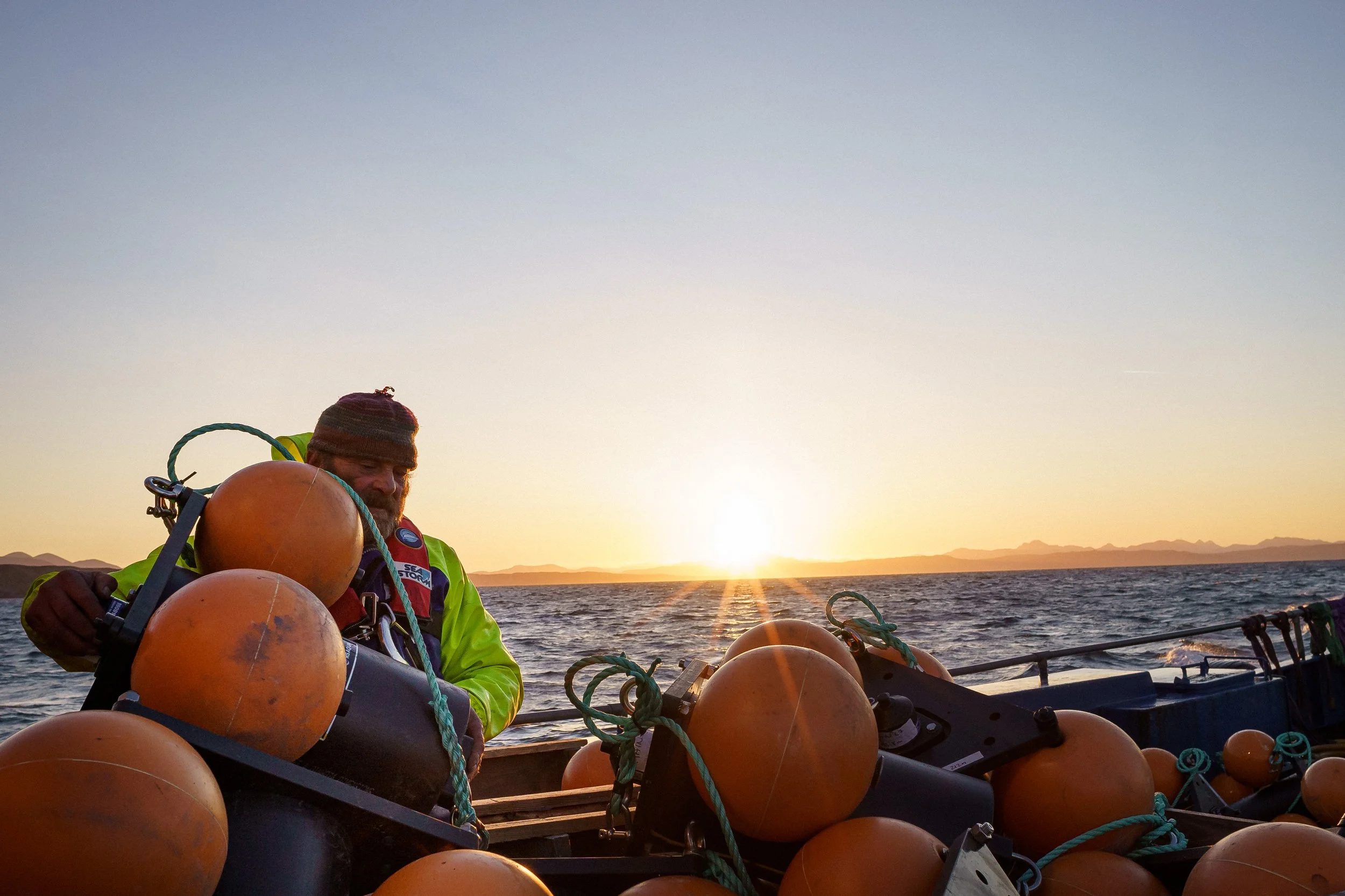 Ambitious Salmon Tracking Study Begins to Shed Light on how this Iconic ...