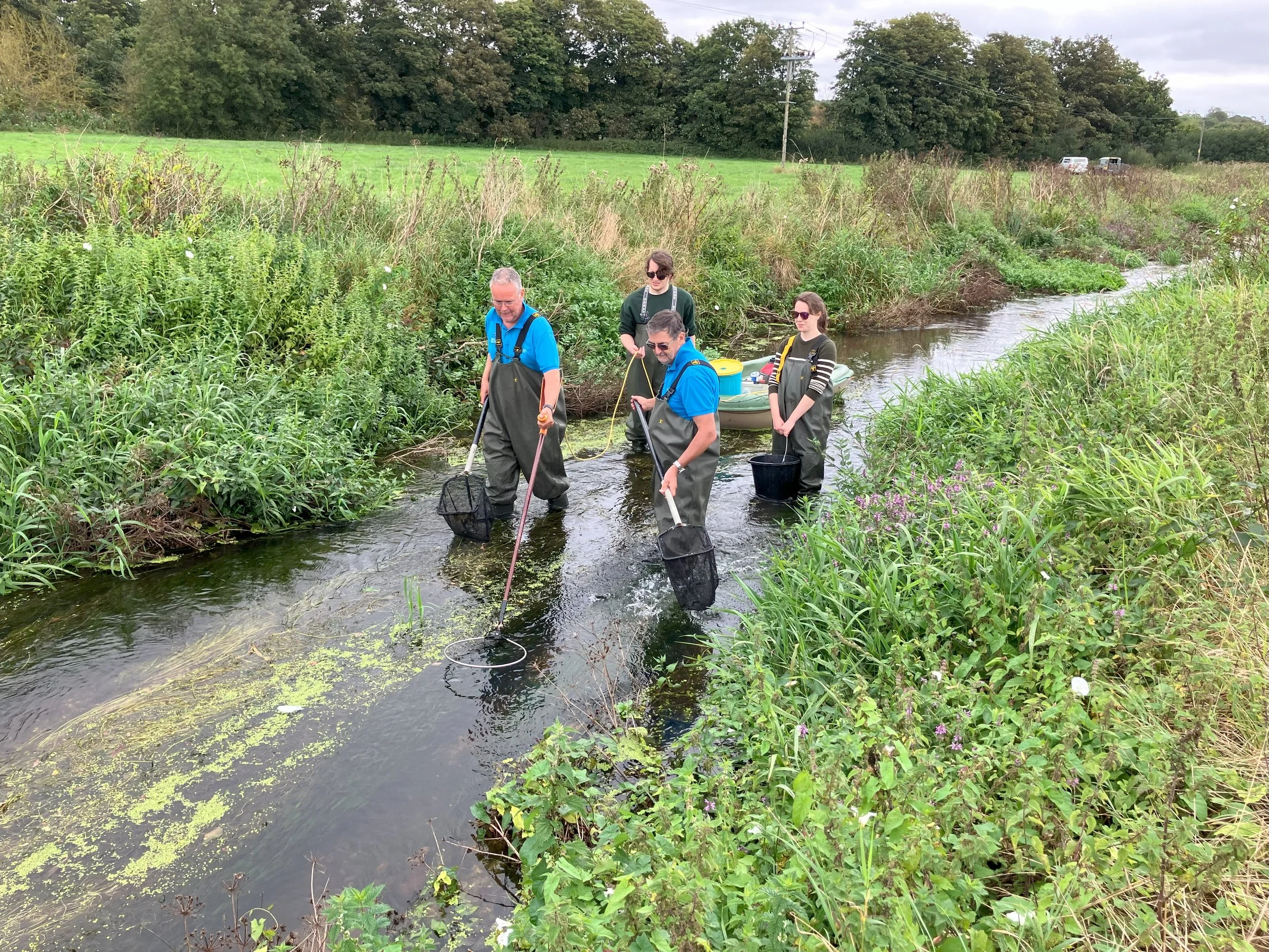 Working together along our rivers to save our salmon — The Missing ...