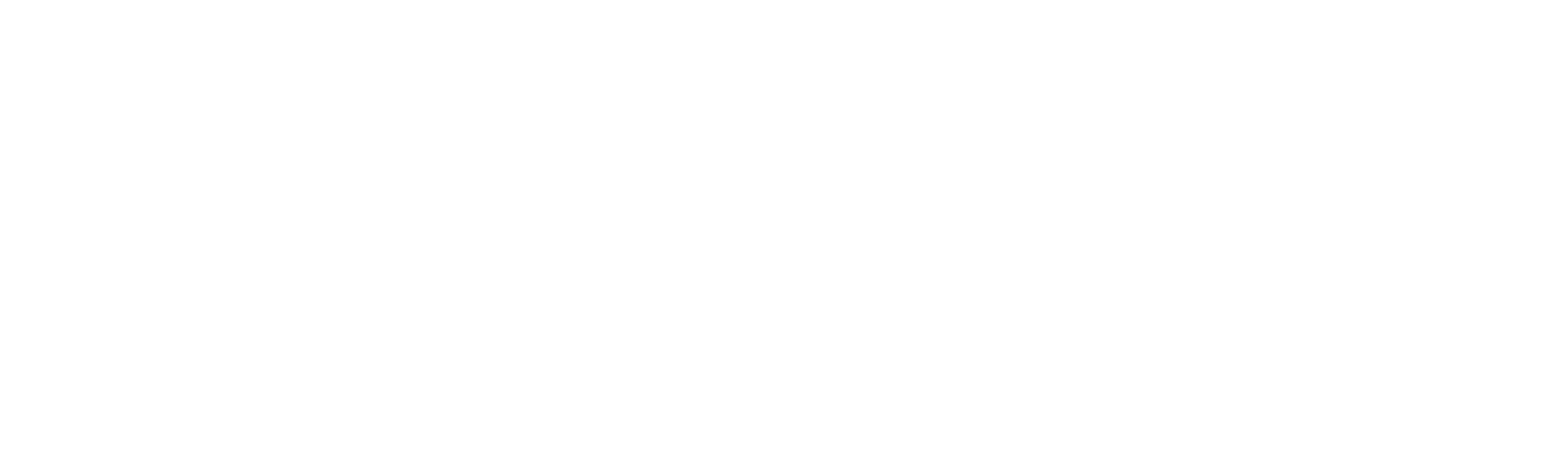 Aves International Academy