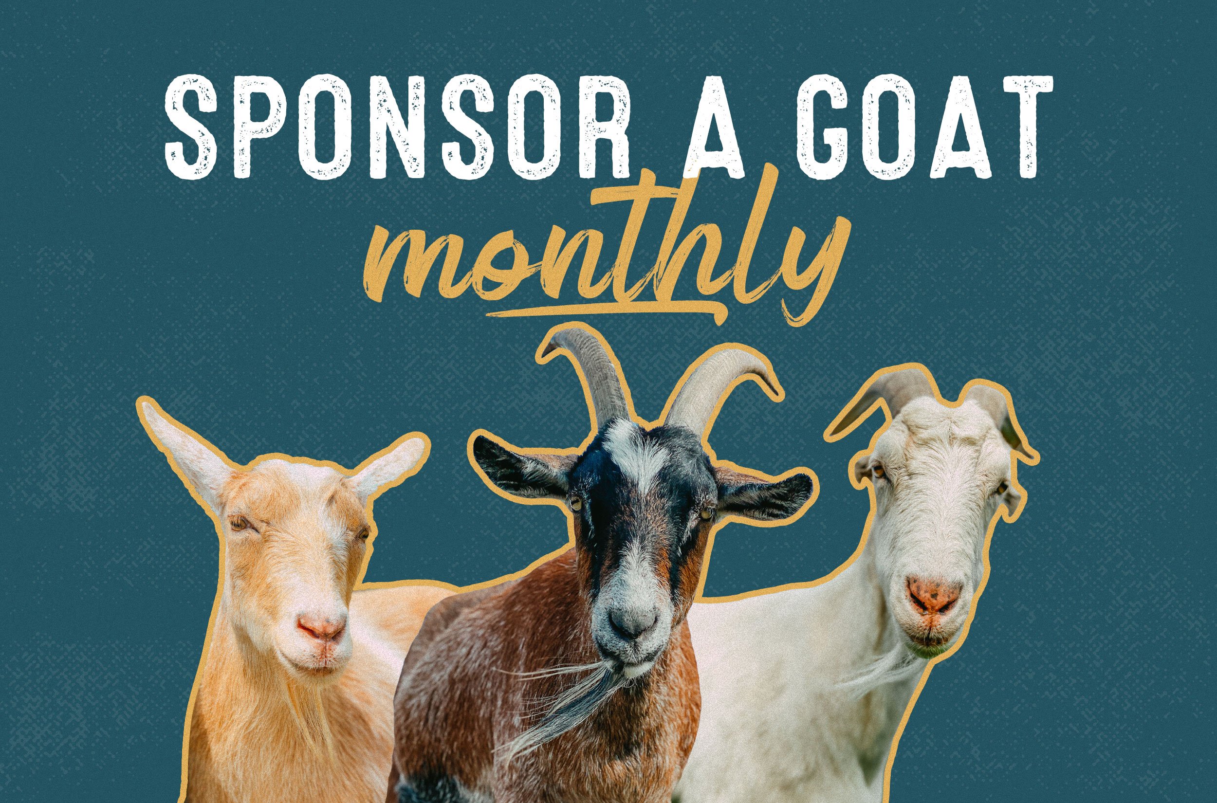 Monthly Goat Sponsorship | Woodstock Farm Sanctuary