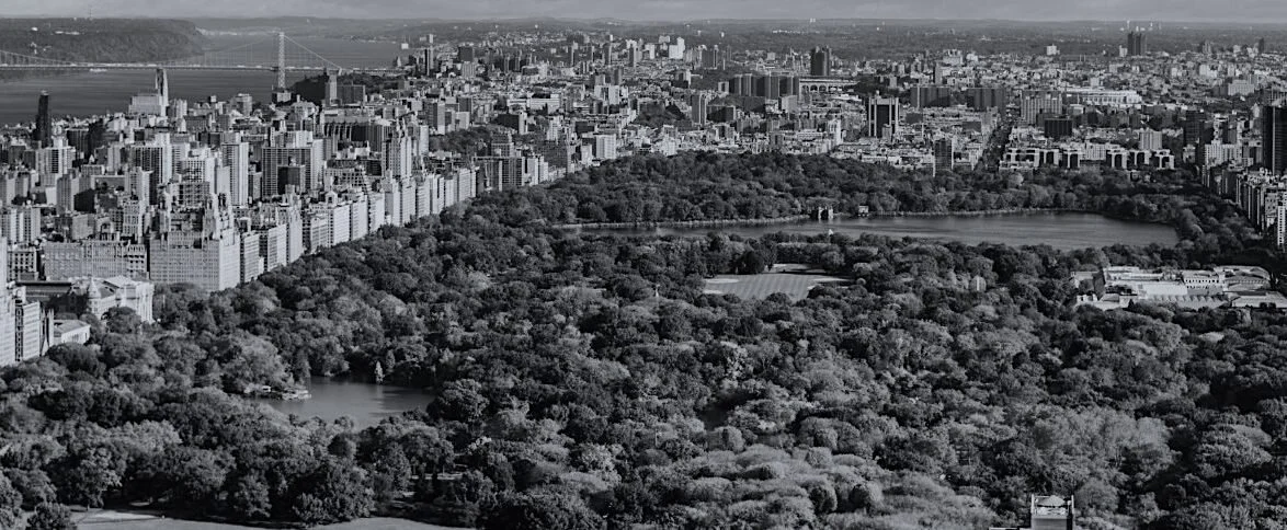 Stelios C. Wilson MD