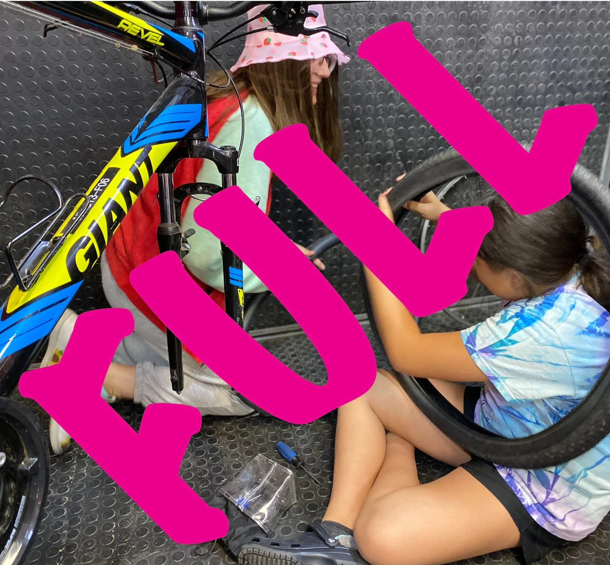 A Summer of STREAM — Genesis: Pathways to Success