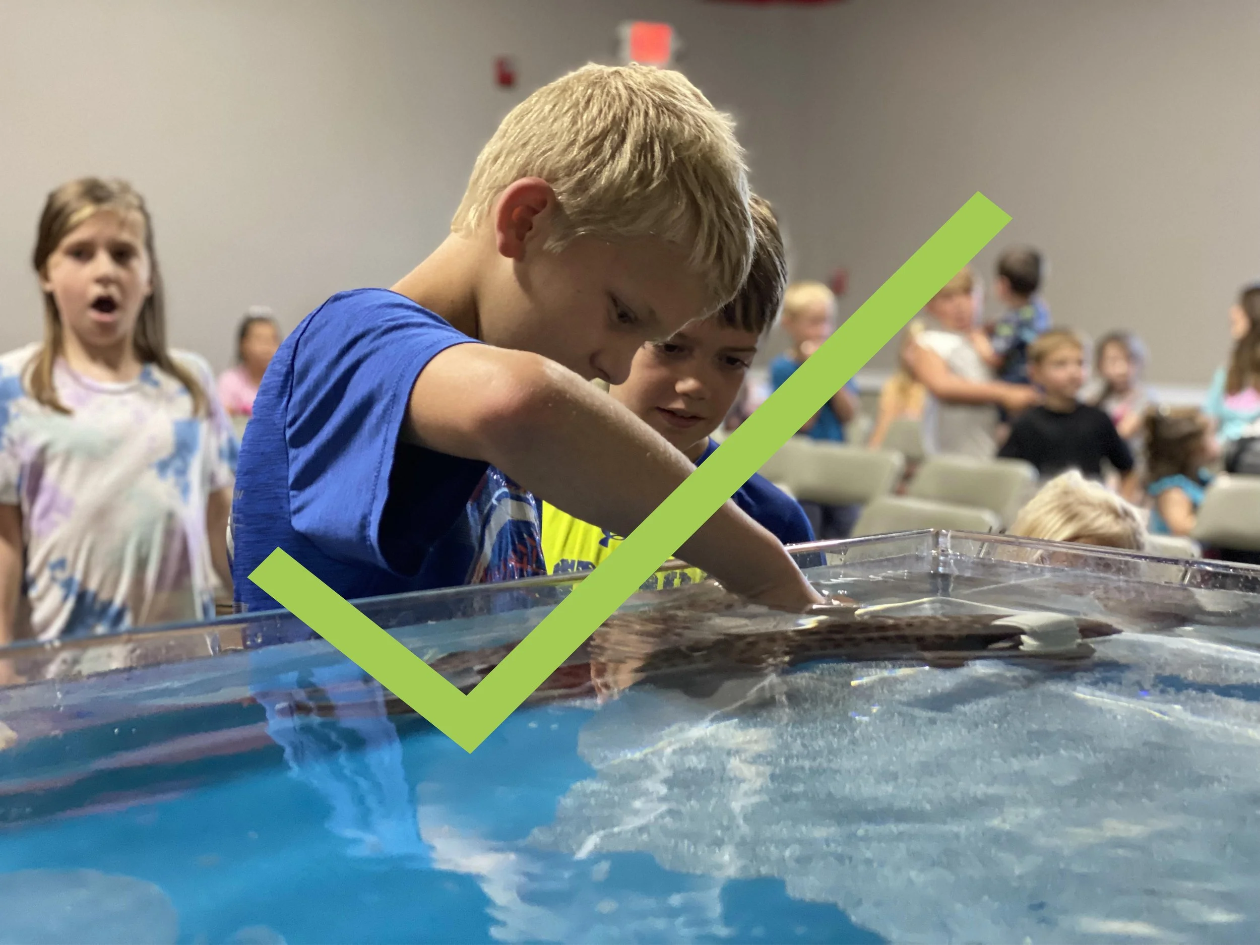 A Summer of STREAM — Genesis: Pathways to Success