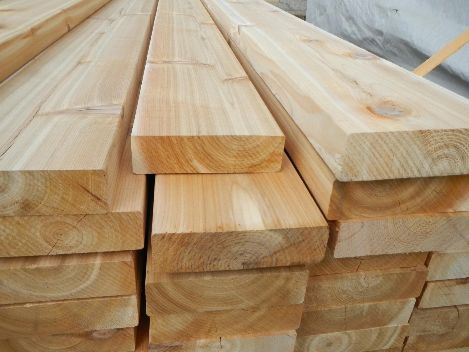 About Us — Cedar Solutions